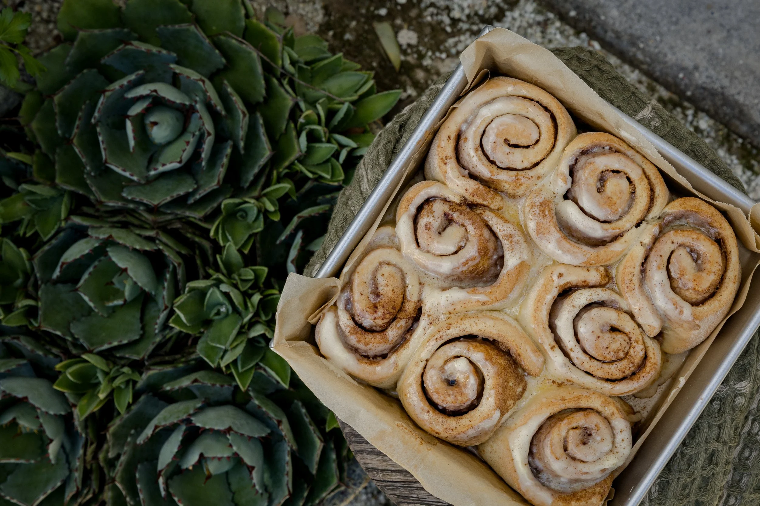 Honey & Cinnamon Buns with Vanilla Icing — Farm to Fork