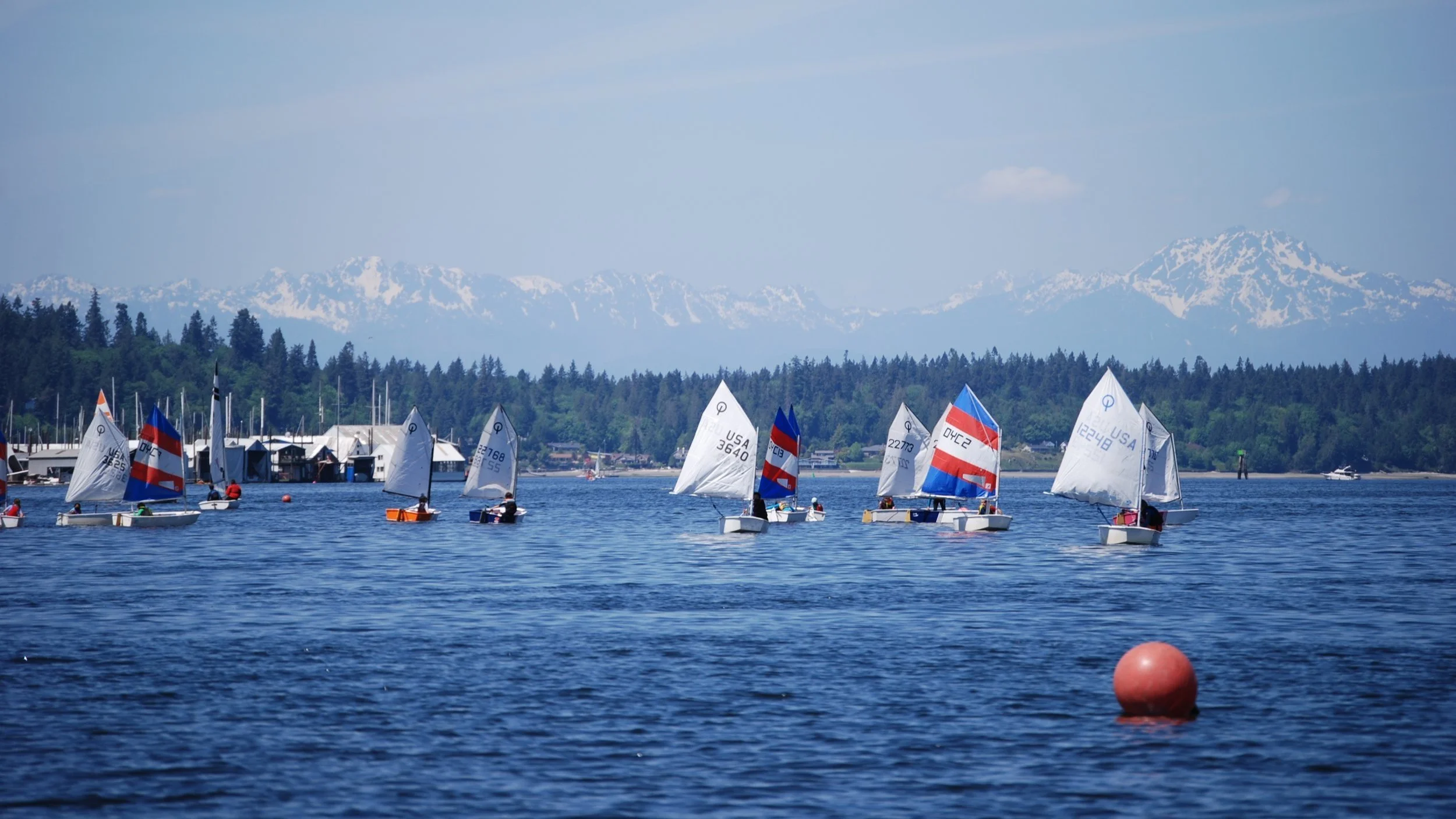 Olympia Community Sailing