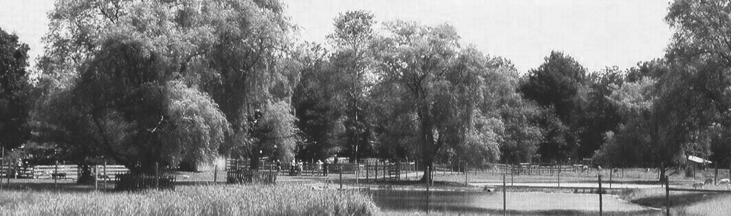 Fort Rickey Discovery Zoo