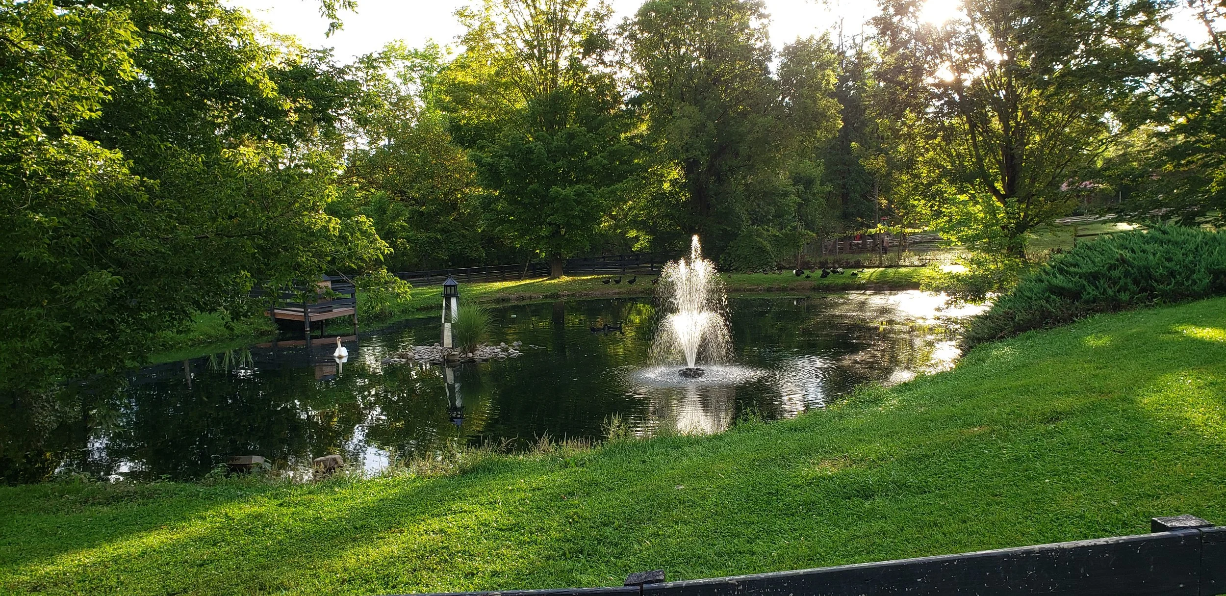 Fort Rickey Discovery Zoo