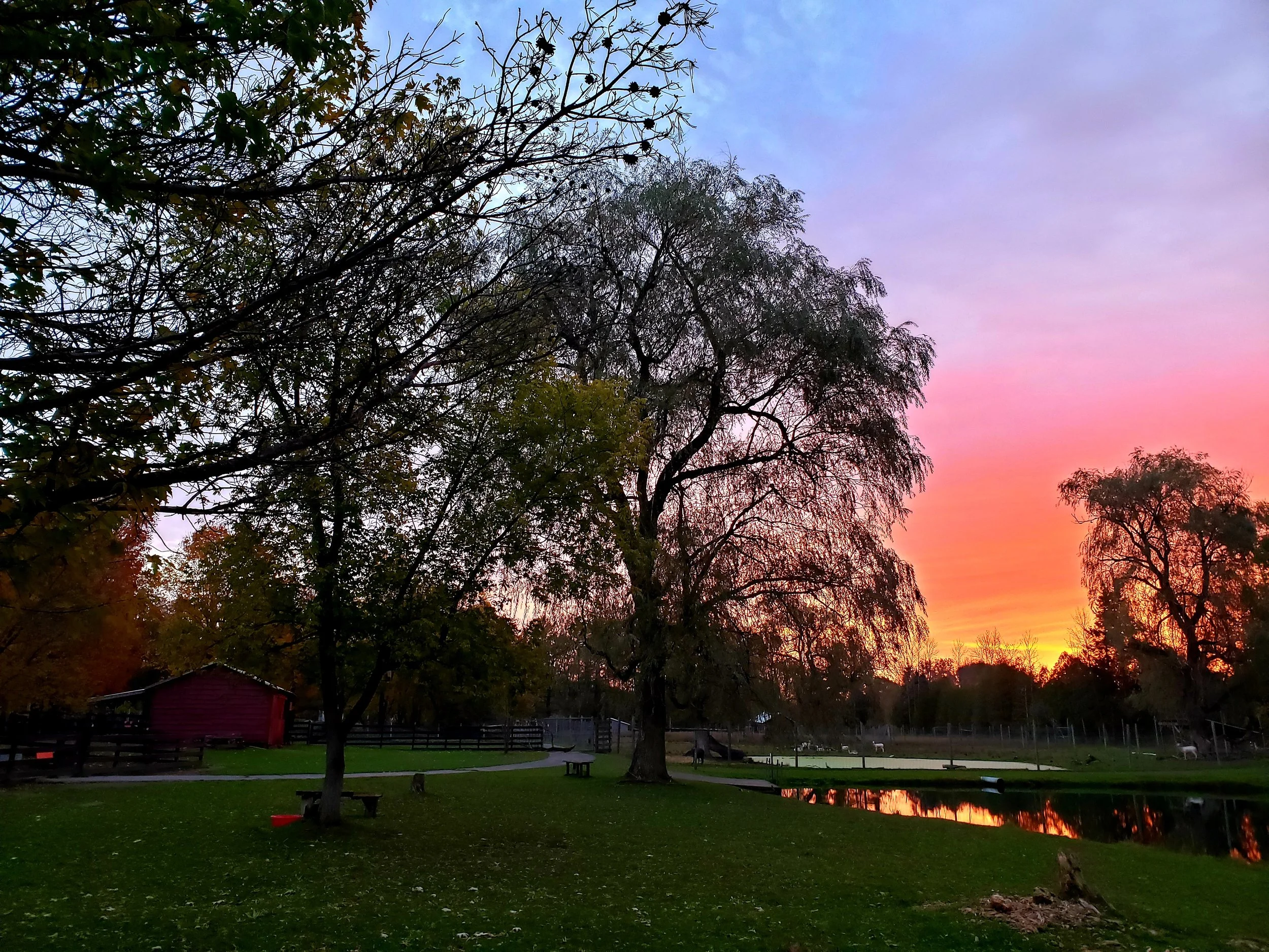 Fort Rickey Discovery Zoo