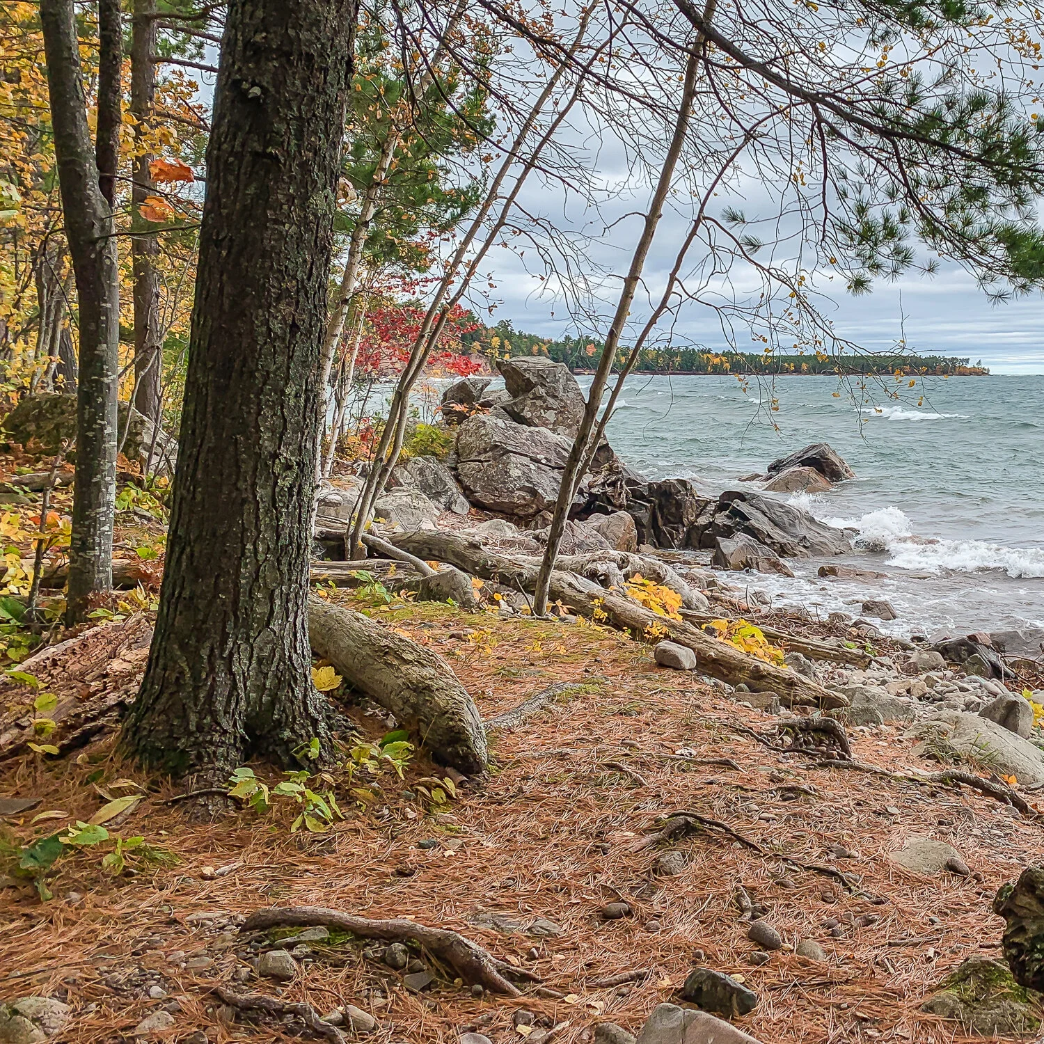 Things to Do—Outdoor Adventures, Dining, and Shopping Year-Round