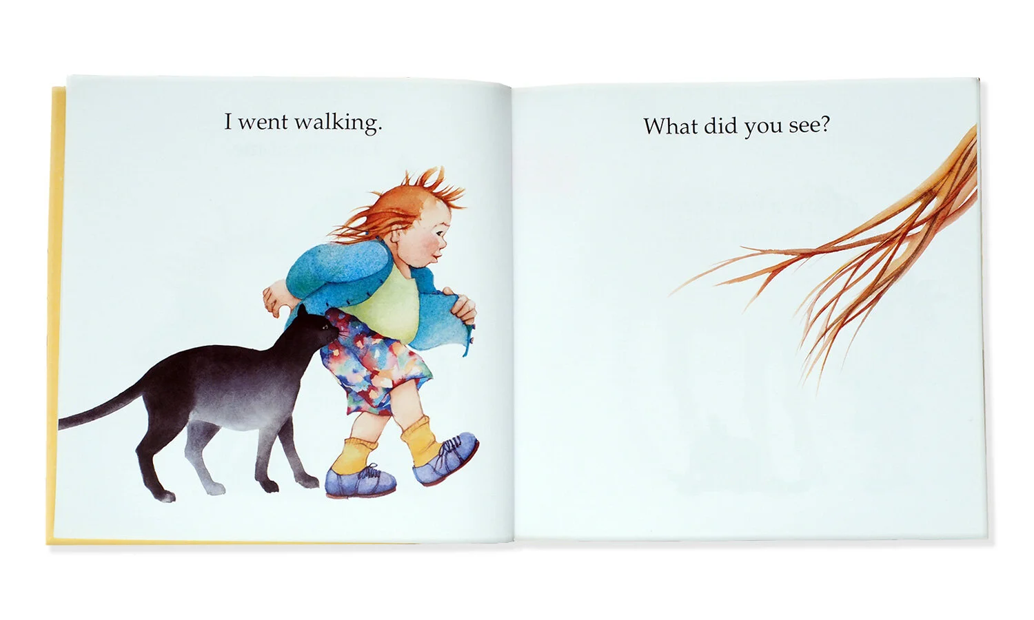 I Went Walking — Julie Vivas