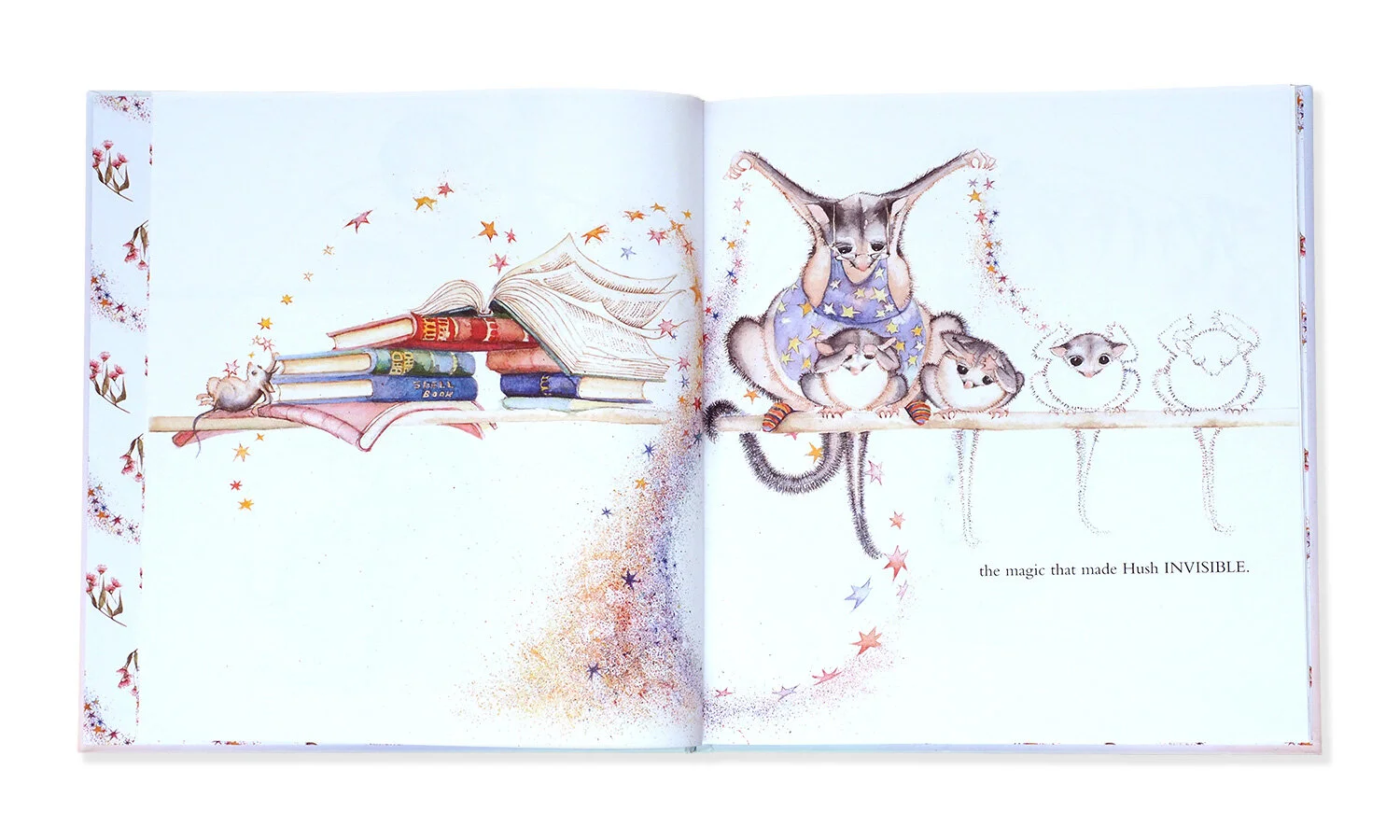 Possum Magic — Julie Vivas