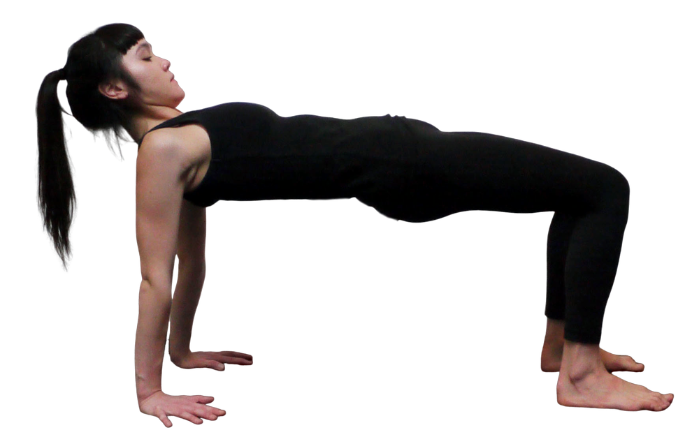 How to improve your forward bends - suggestions for practice — Dynamic ...