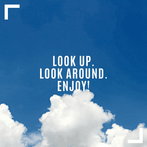 Look up. Look around. Enjoy! — Tami Conklin