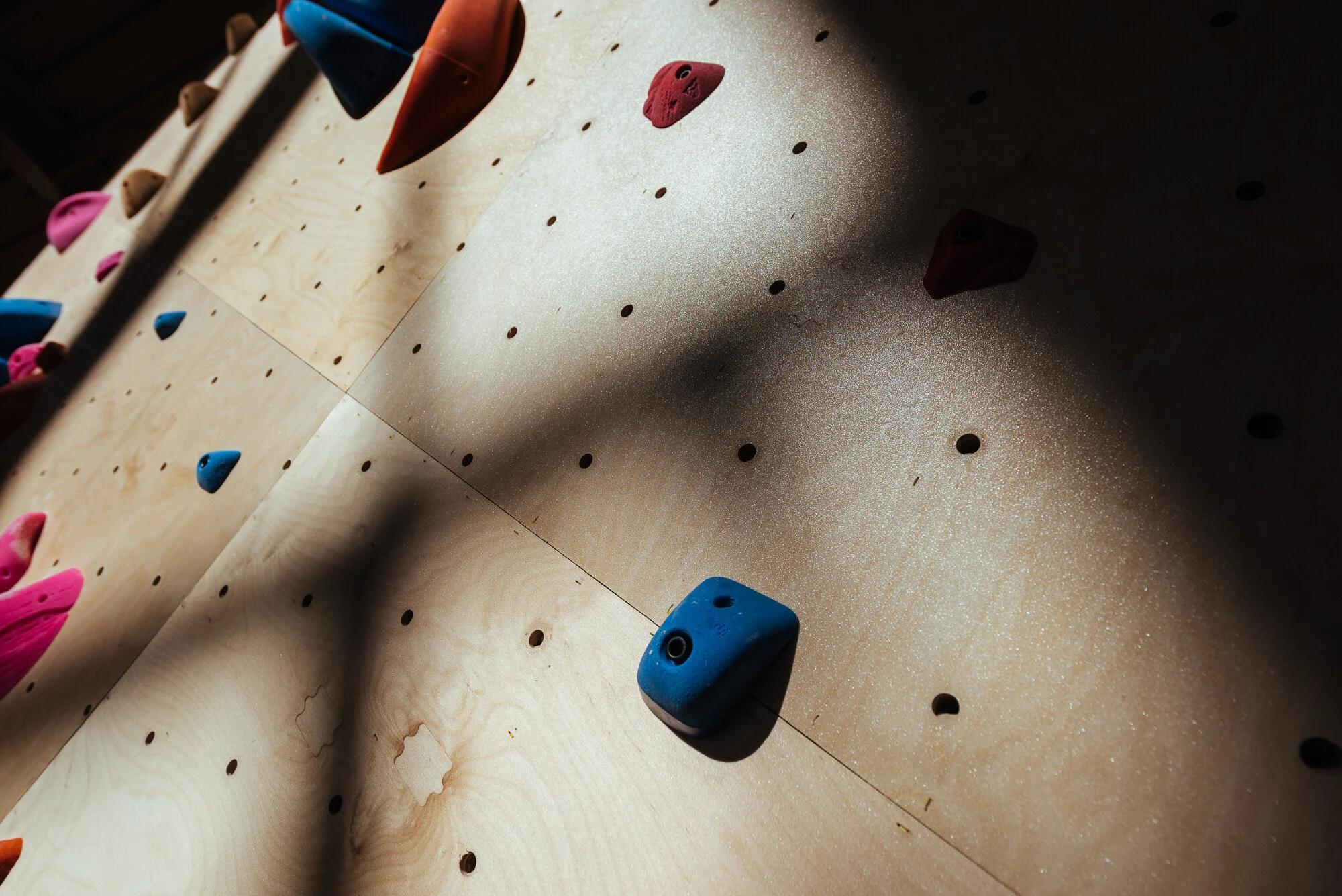 GECKO CLIMBING GYM | Rock Climbing | Ropes | Bouldering | Youth & Families