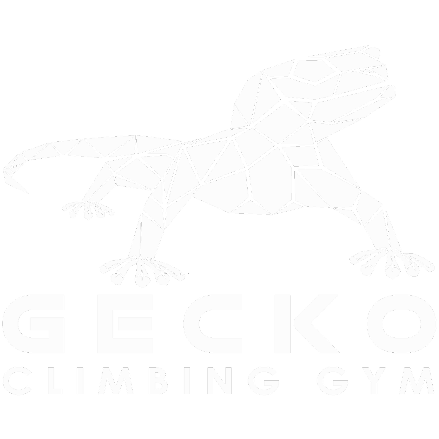 GECKO CLIMBING GYM | Rock Climbing | Ropes | Bouldering | Youth & Families
