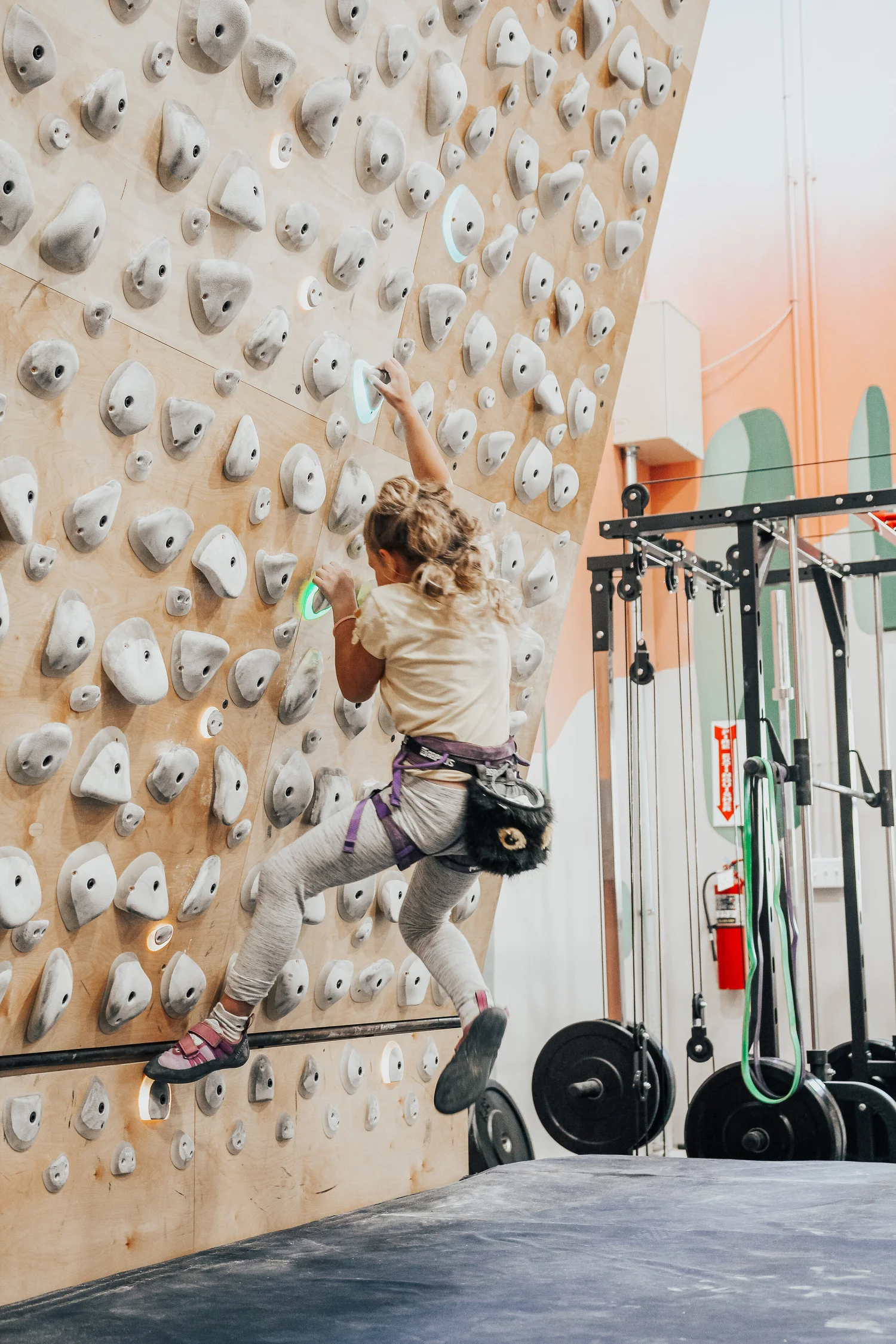 Youth Climbing Camps — GECKO CLIMBING GYM