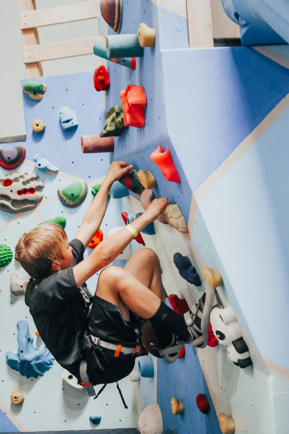 Youth Climbing Camps — GECKO CLIMBING GYM