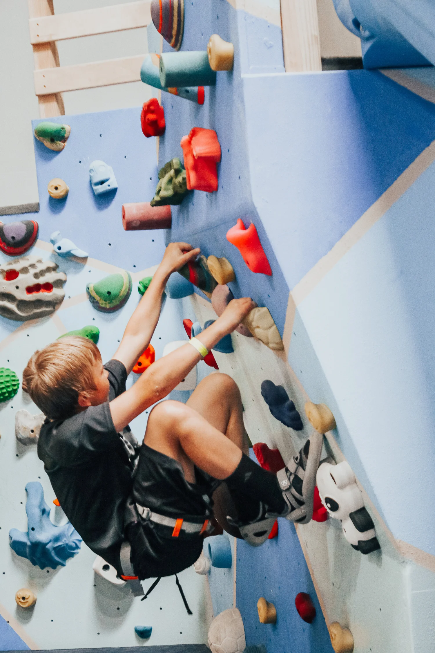 Youth Climbing Camps — GECKO CLIMBING GYM