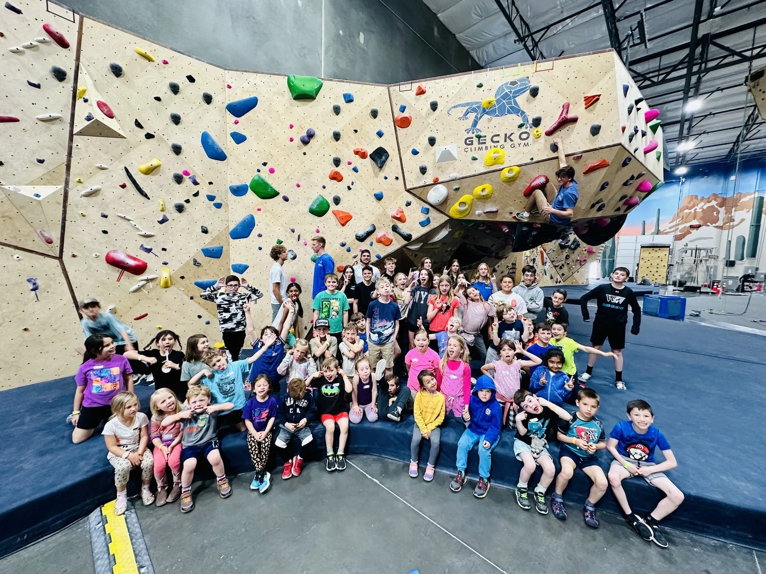 Youth Climbing Summer Camps — GECKO CLIMBING GYM
