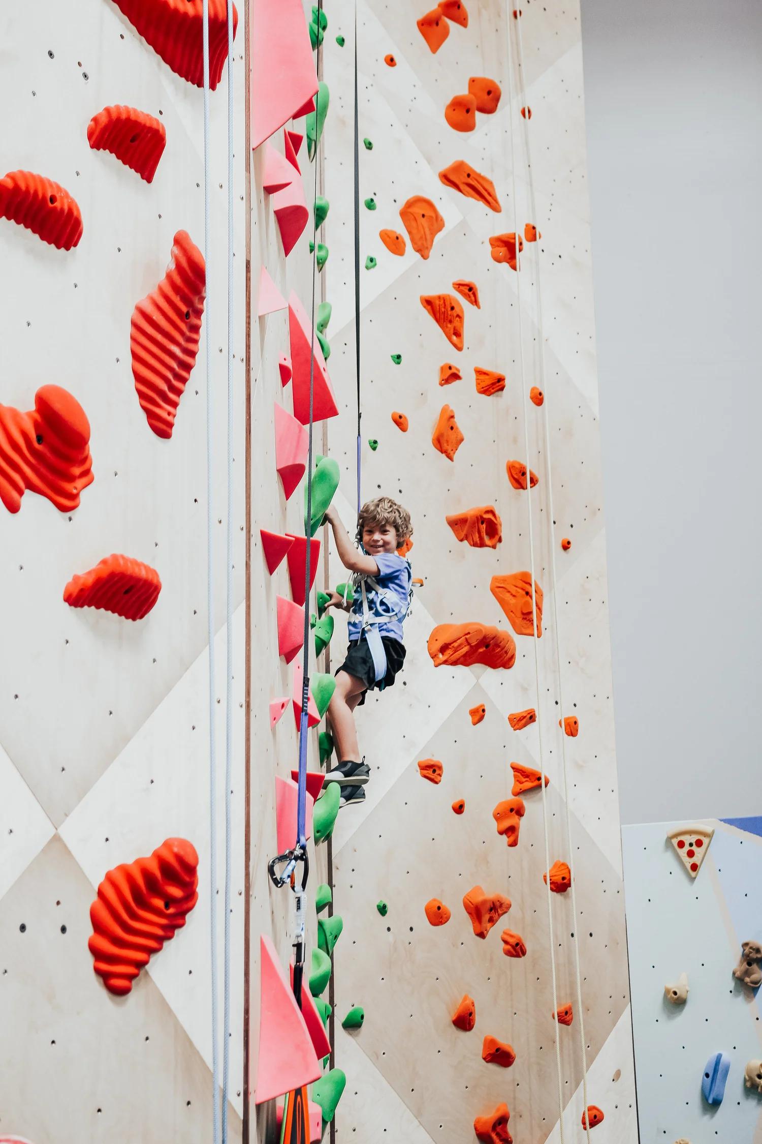 FAMILY PROGRAMS — GECKO CLIMBING GYM