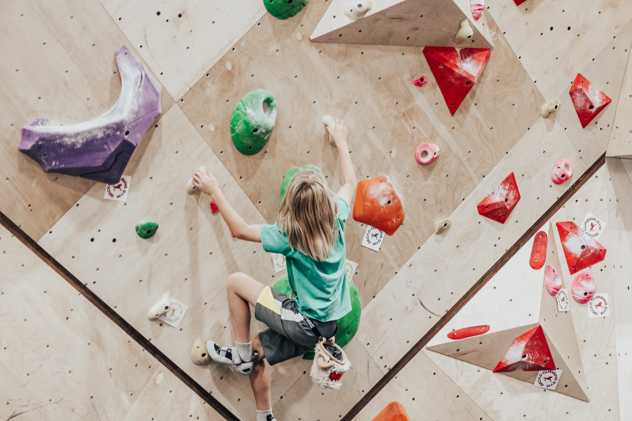 Youth Climbing Camps — GECKO CLIMBING GYM