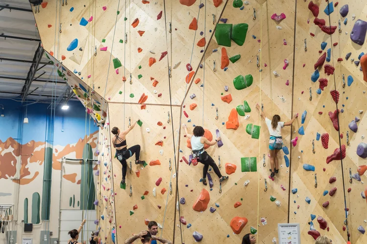Climbing Academy — GECKO CLIMBING GYM