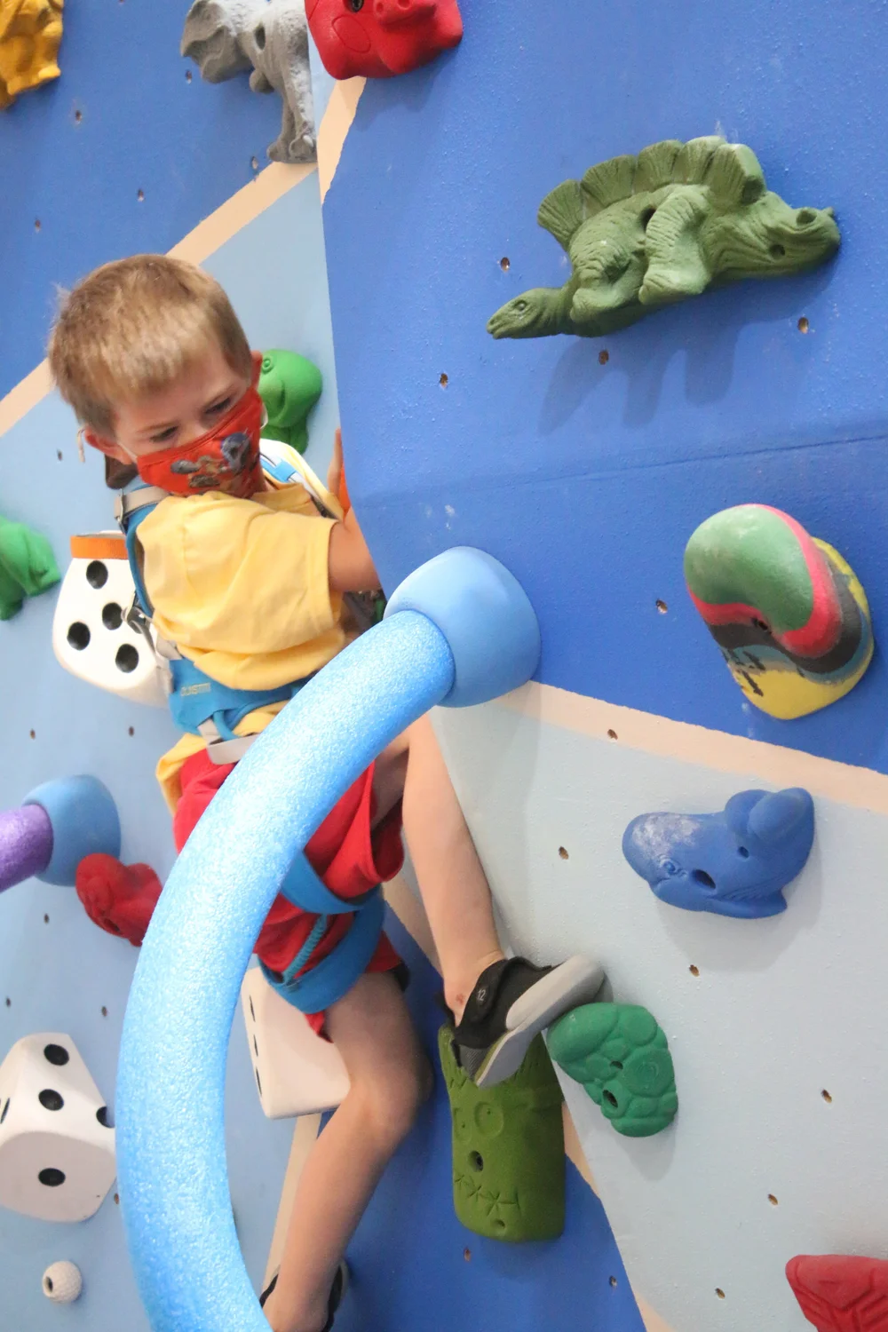 FAMILY PROGRAMS — GECKO CLIMBING GYM