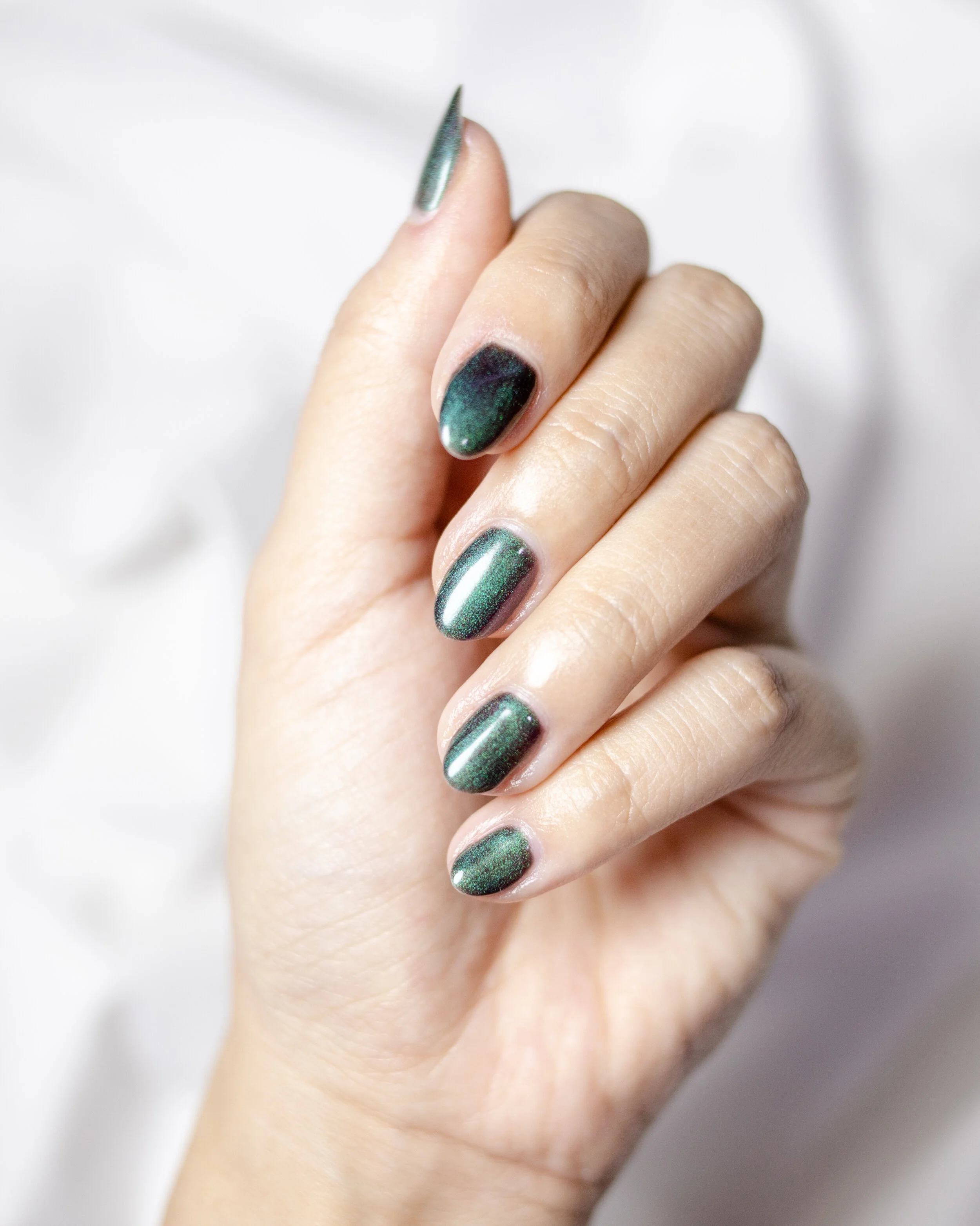 Talon & Tail — LIGHT LACQUER