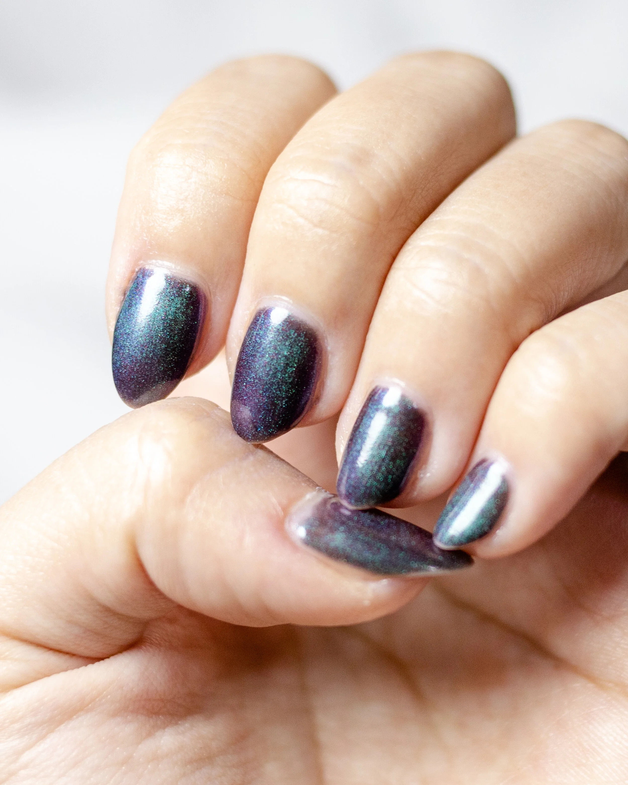 Talon & Tail — LIGHT LACQUER