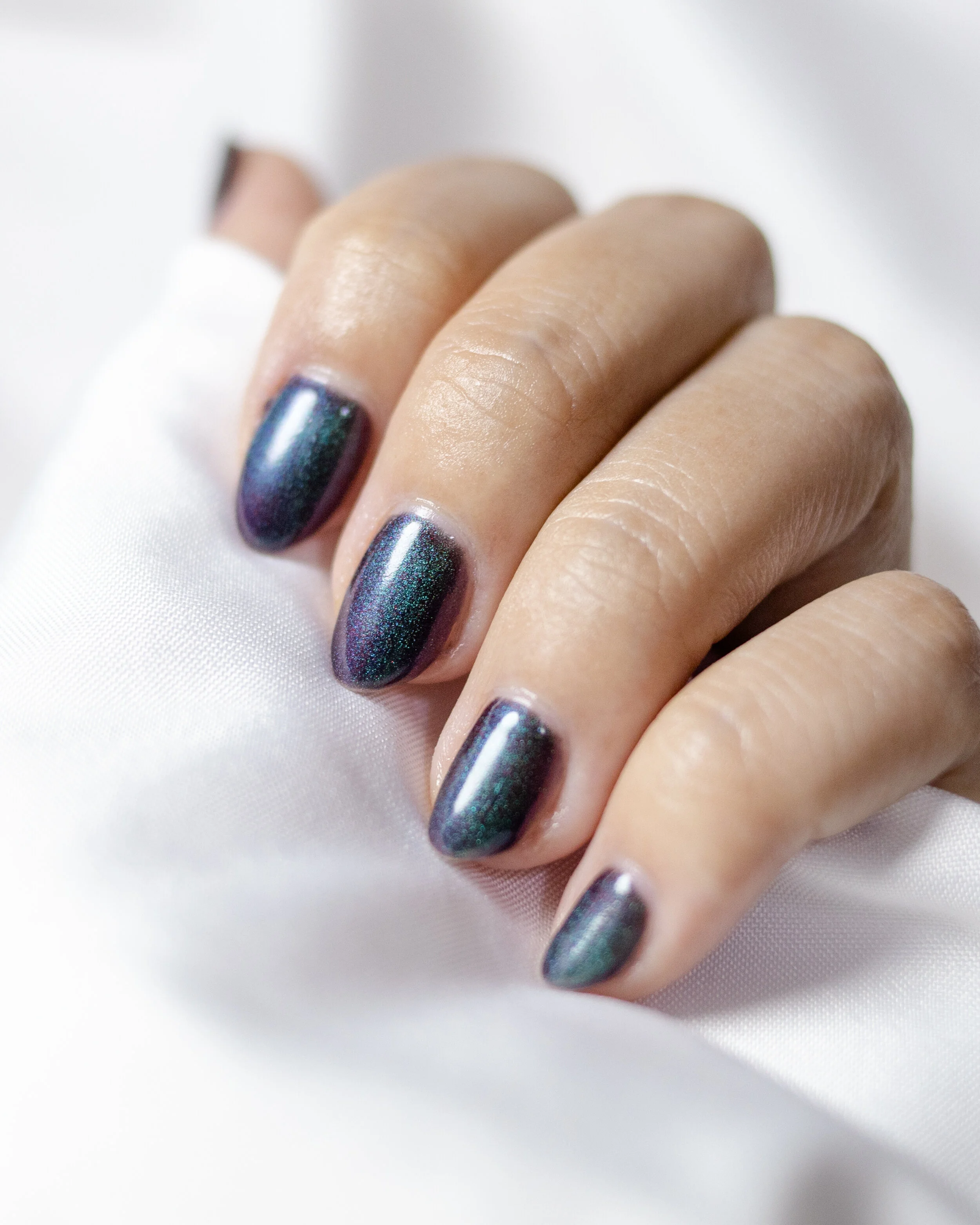 Talon & Tail — LIGHT LACQUER