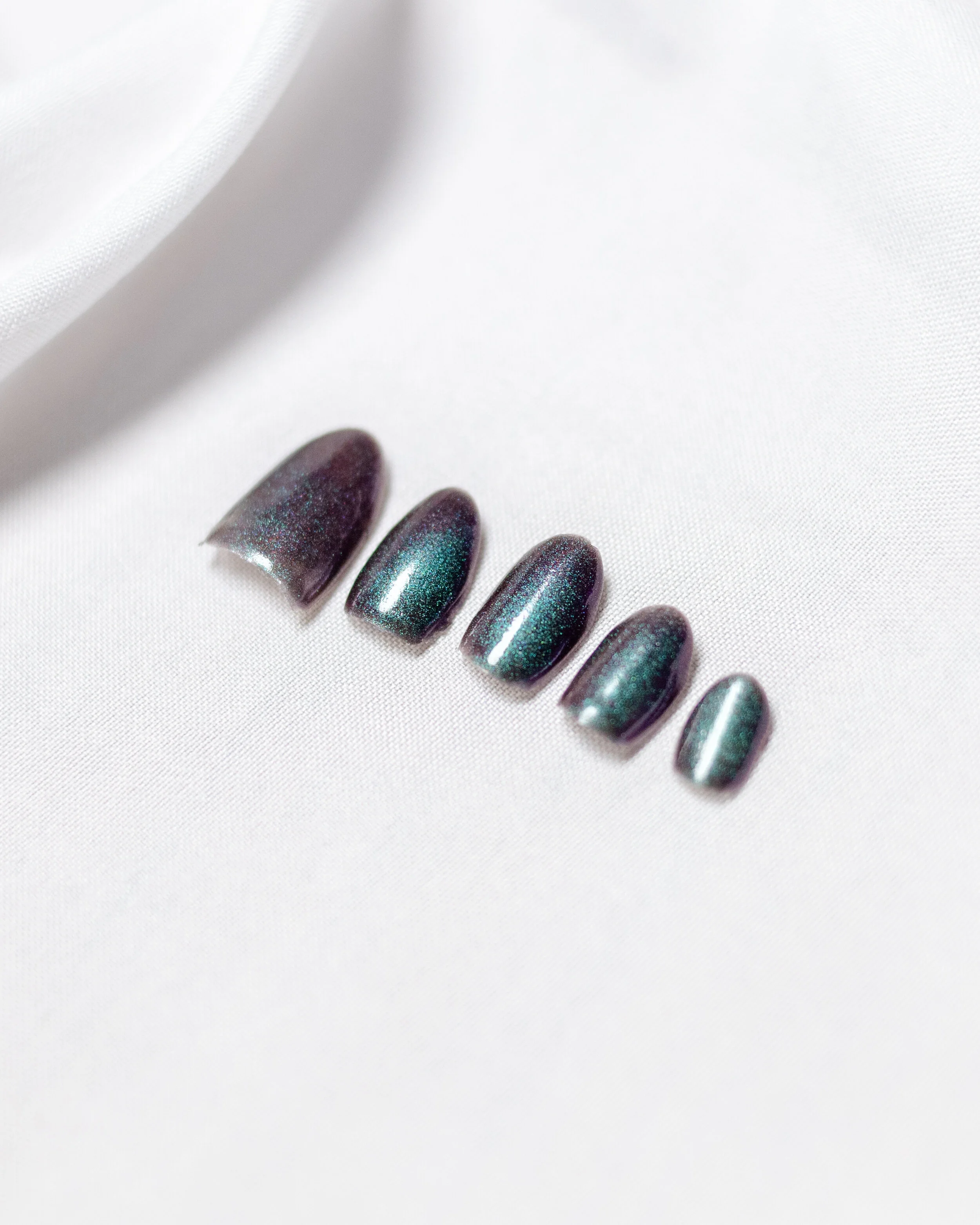Talon & Tail — LIGHT LACQUER
