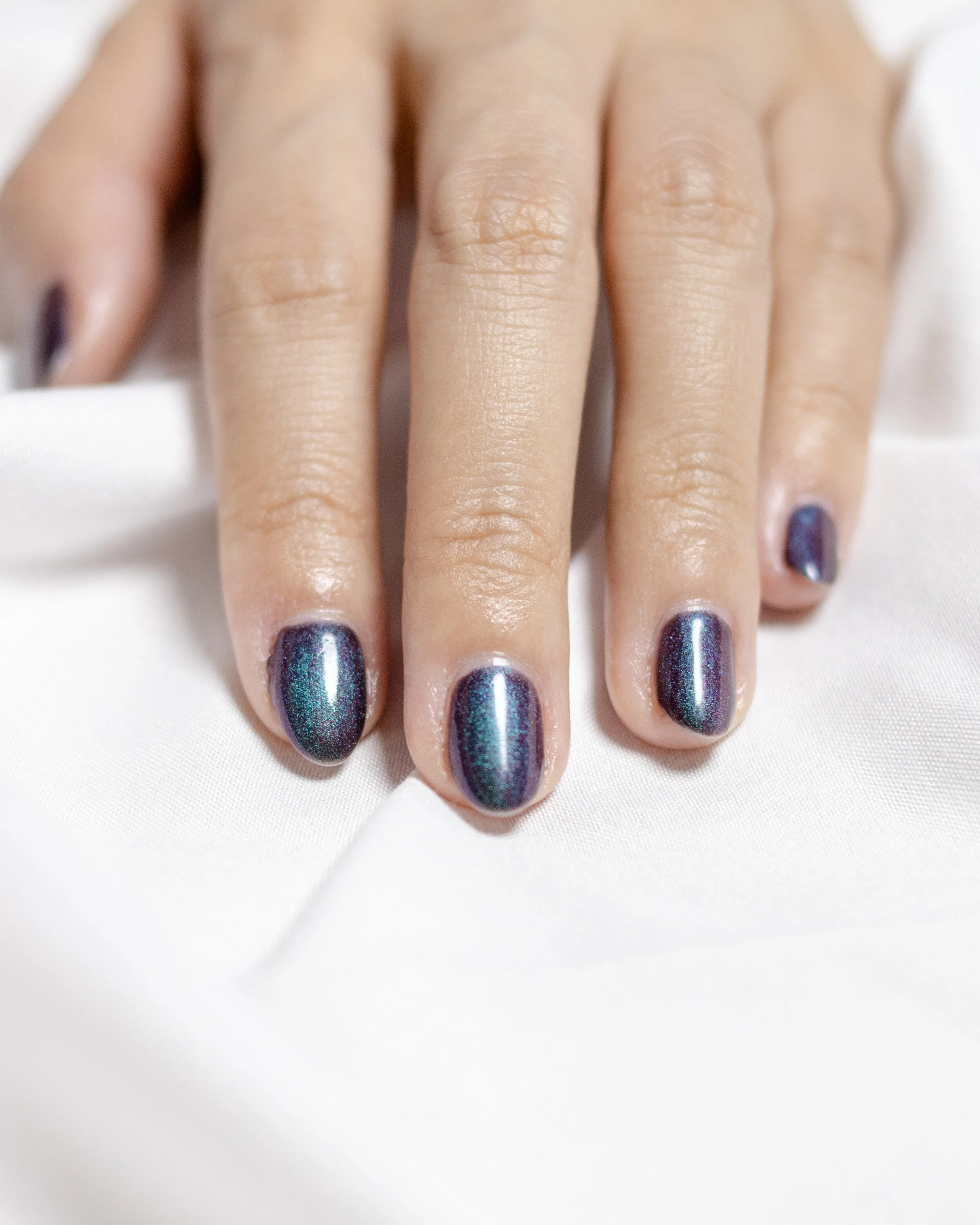 Talon & Tail — LIGHT LACQUER