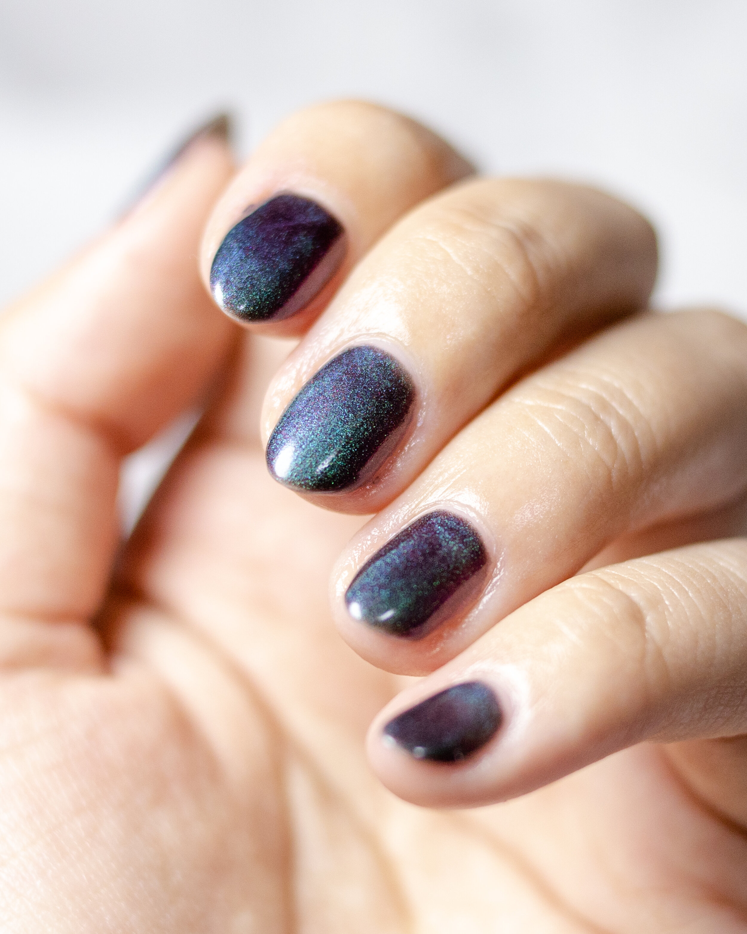 Talon & Tail — LIGHT LACQUER