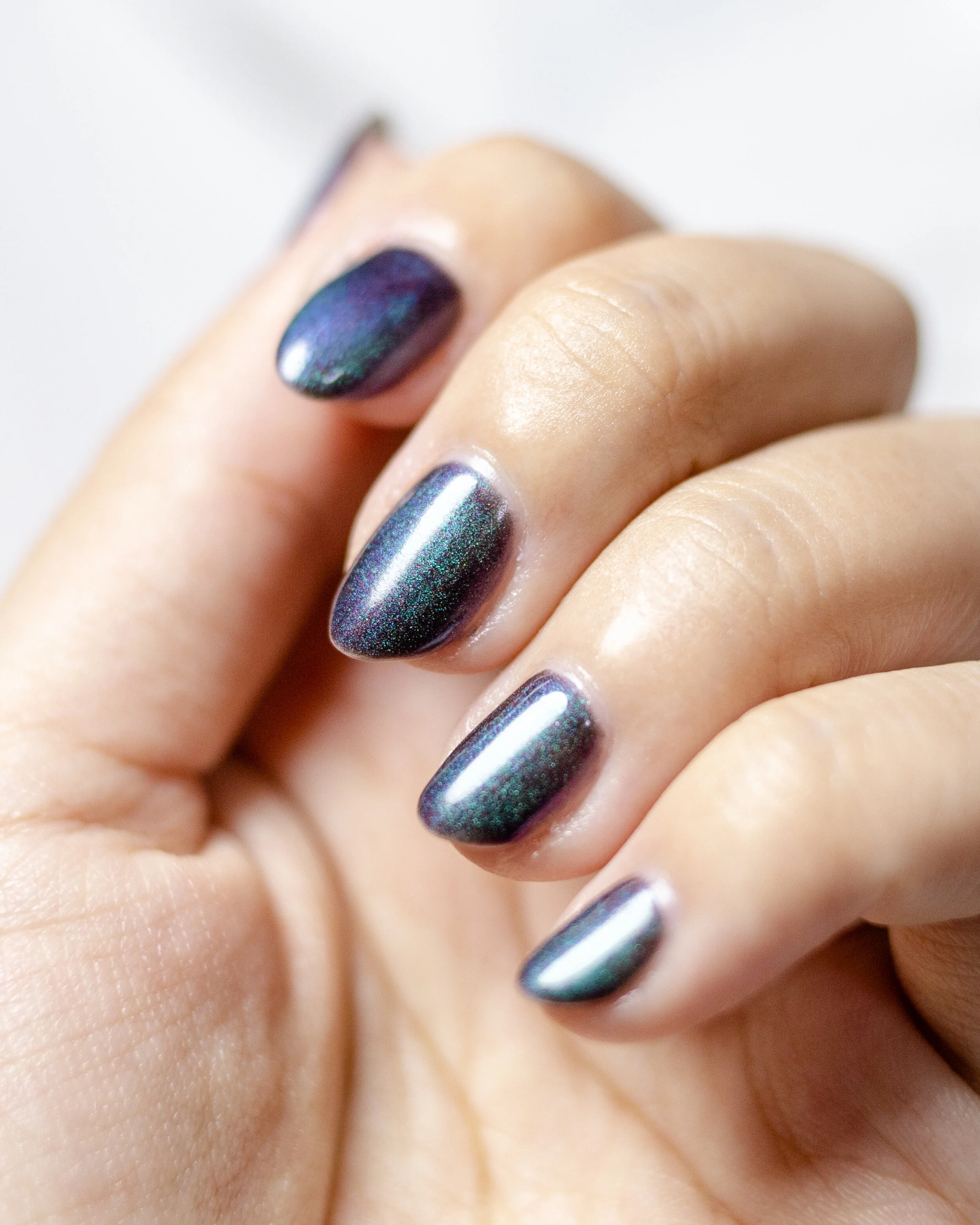 Talon & Tail — LIGHT LACQUER