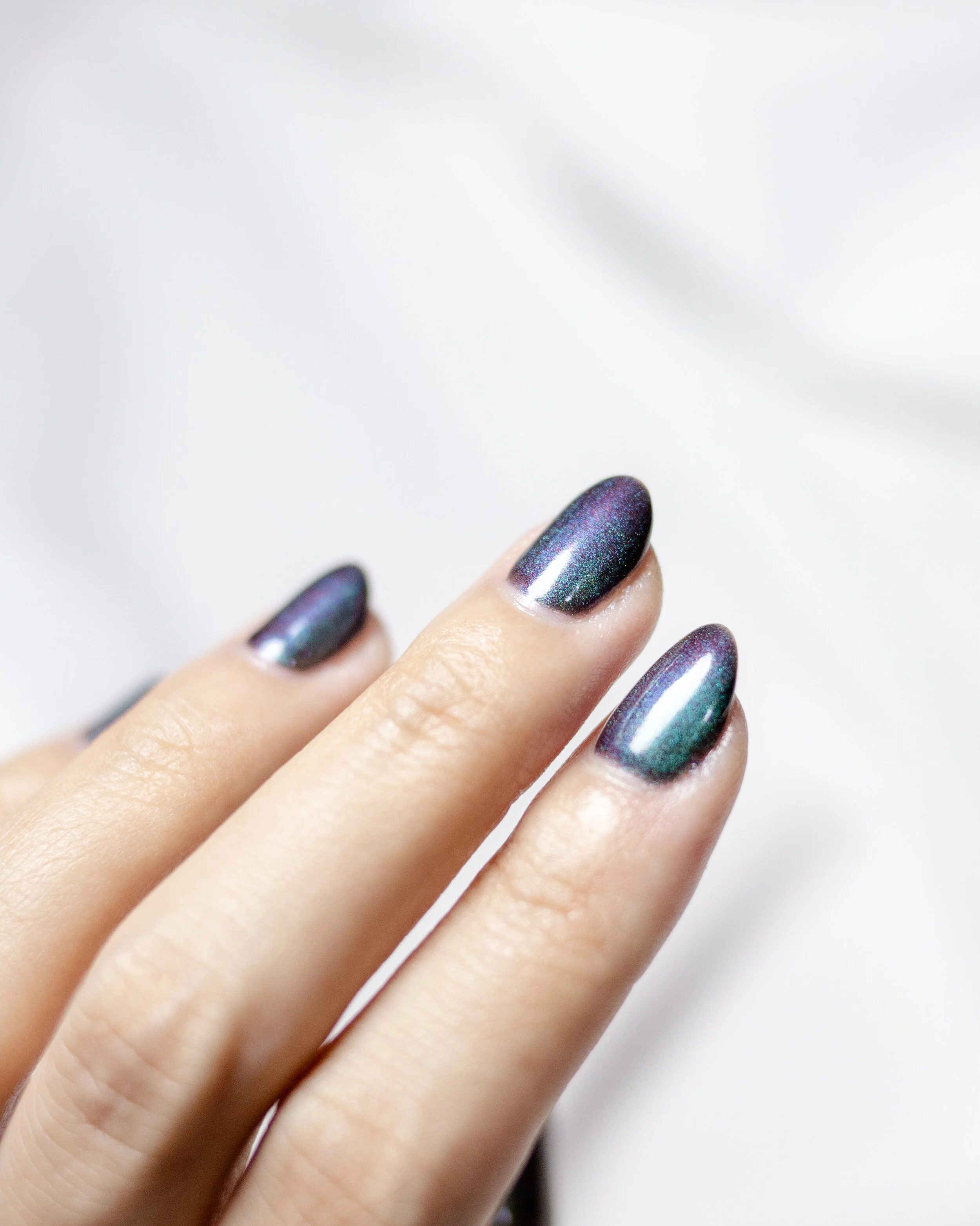 Talon & Tail — LIGHT LACQUER