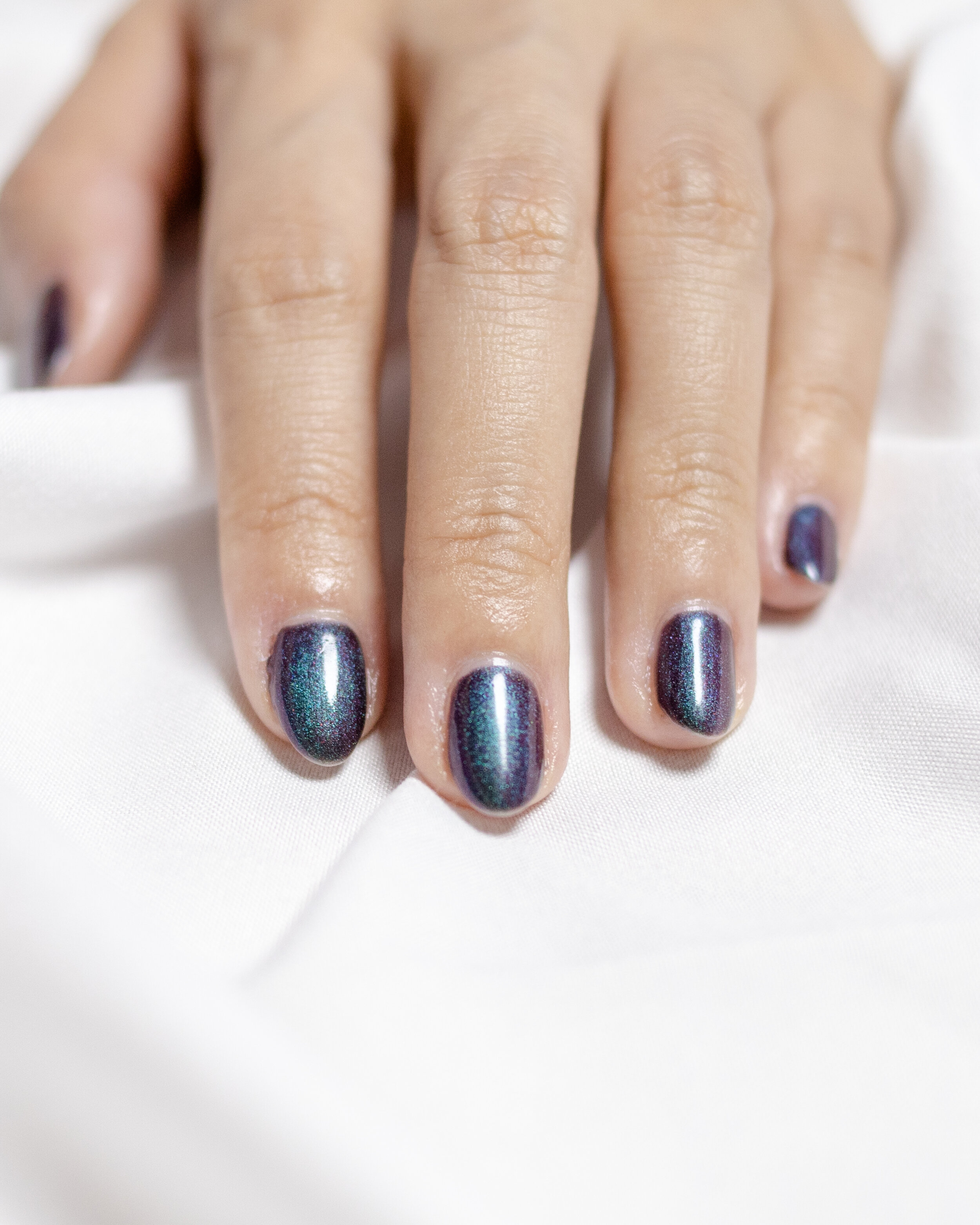 Talon & Tail — LIGHT LACQUER