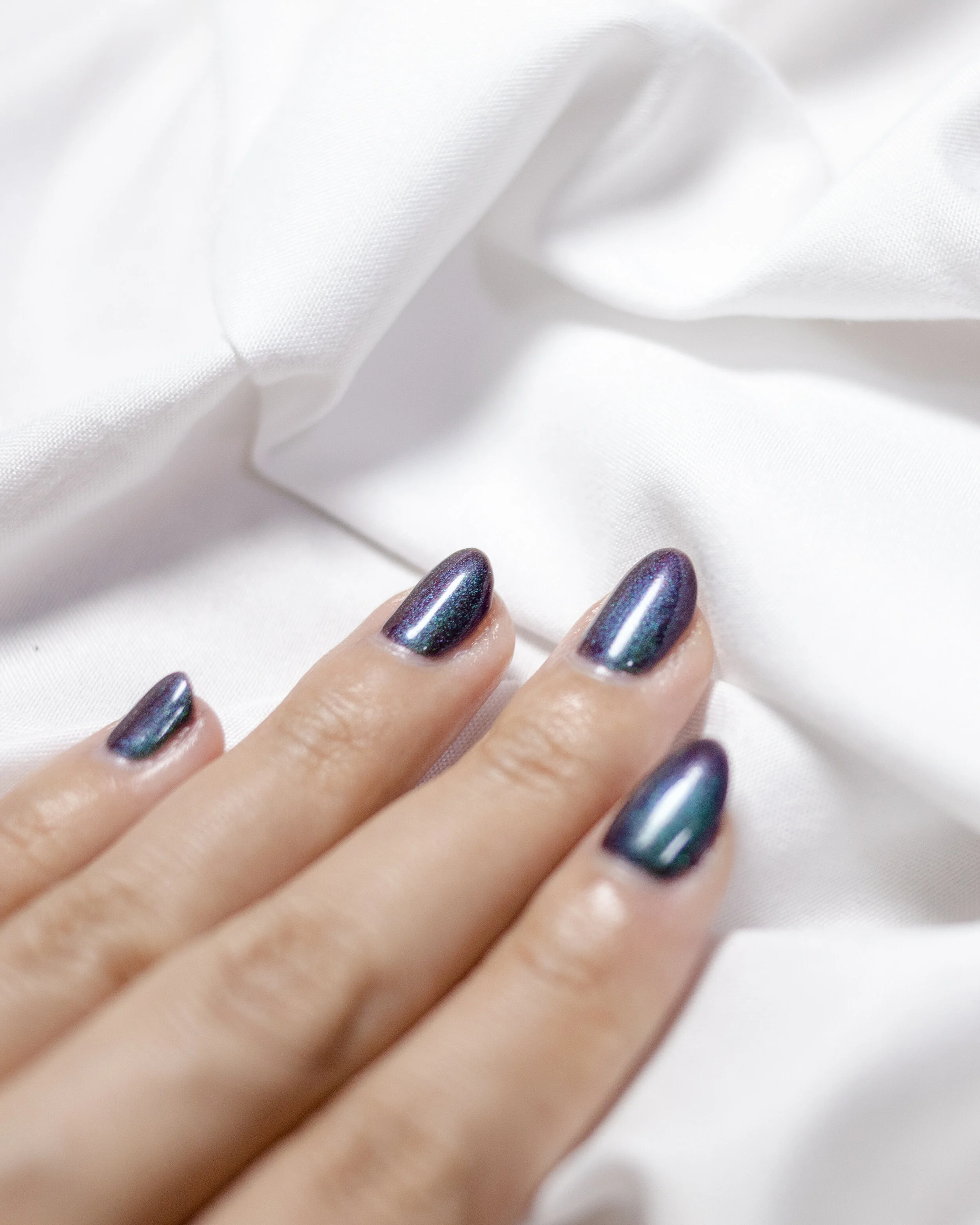Talon & Tail — LIGHT LACQUER