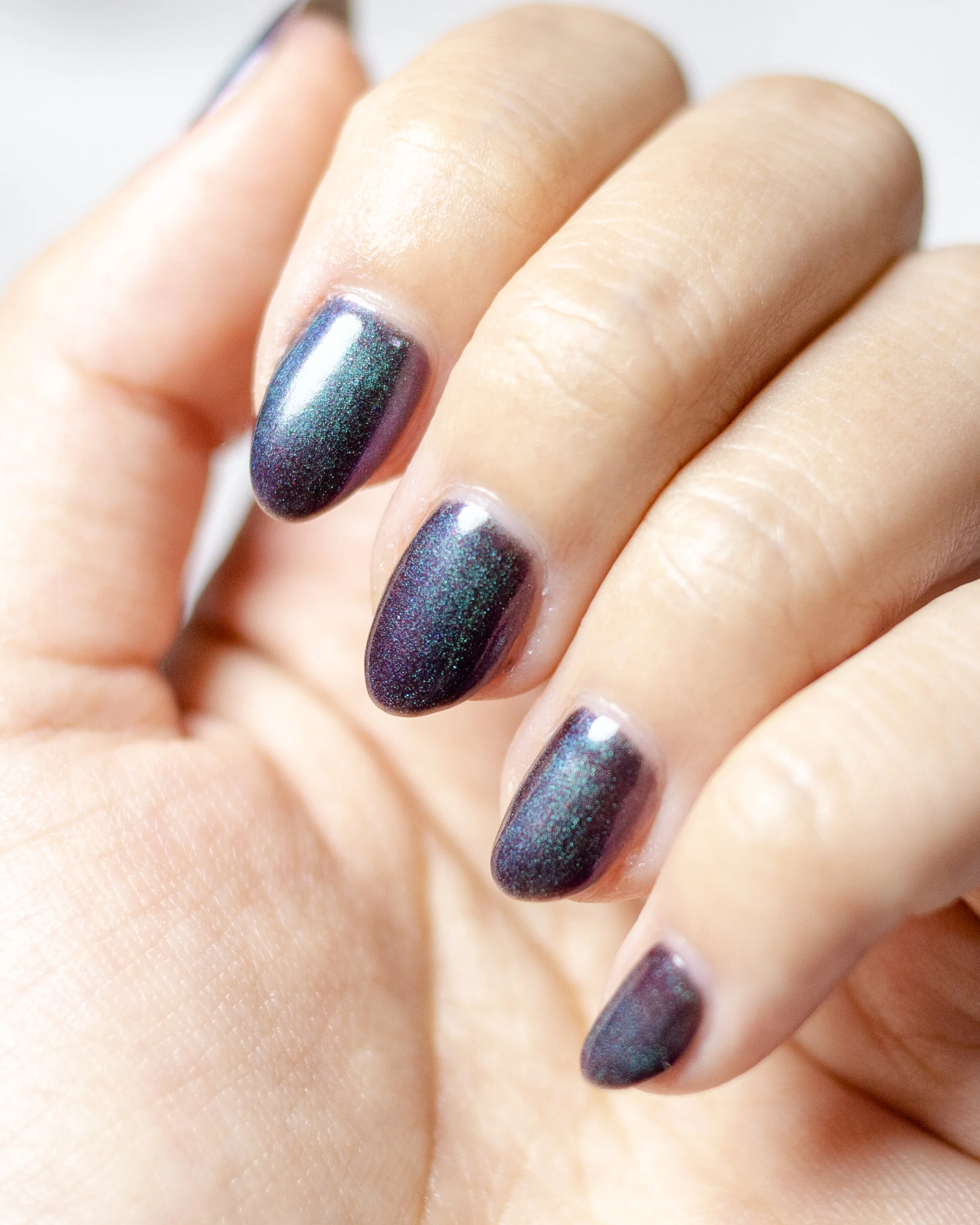 Talon & Tail — LIGHT LACQUER