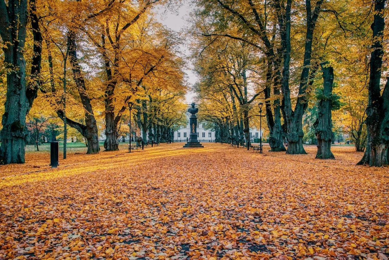 Uppsala: the hidden gem just North of Stockholm — eCKsplorer