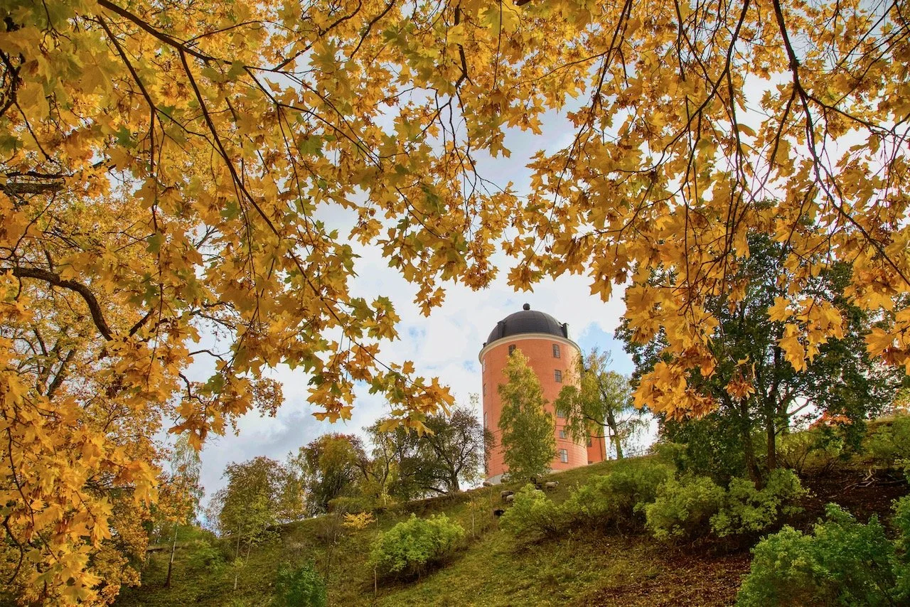 Uppsala: the hidden gem just North of Stockholm — eCKsplorer