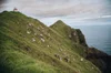 A Journey to the Faroe Islands: The Island of Kalsoy — eCKsplorer