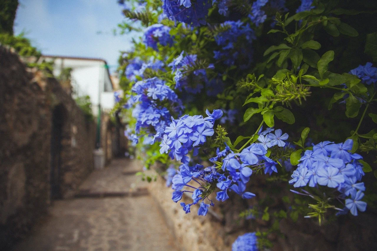 A Journey through the Amalfi Coast: Ravello — eCKsplorer