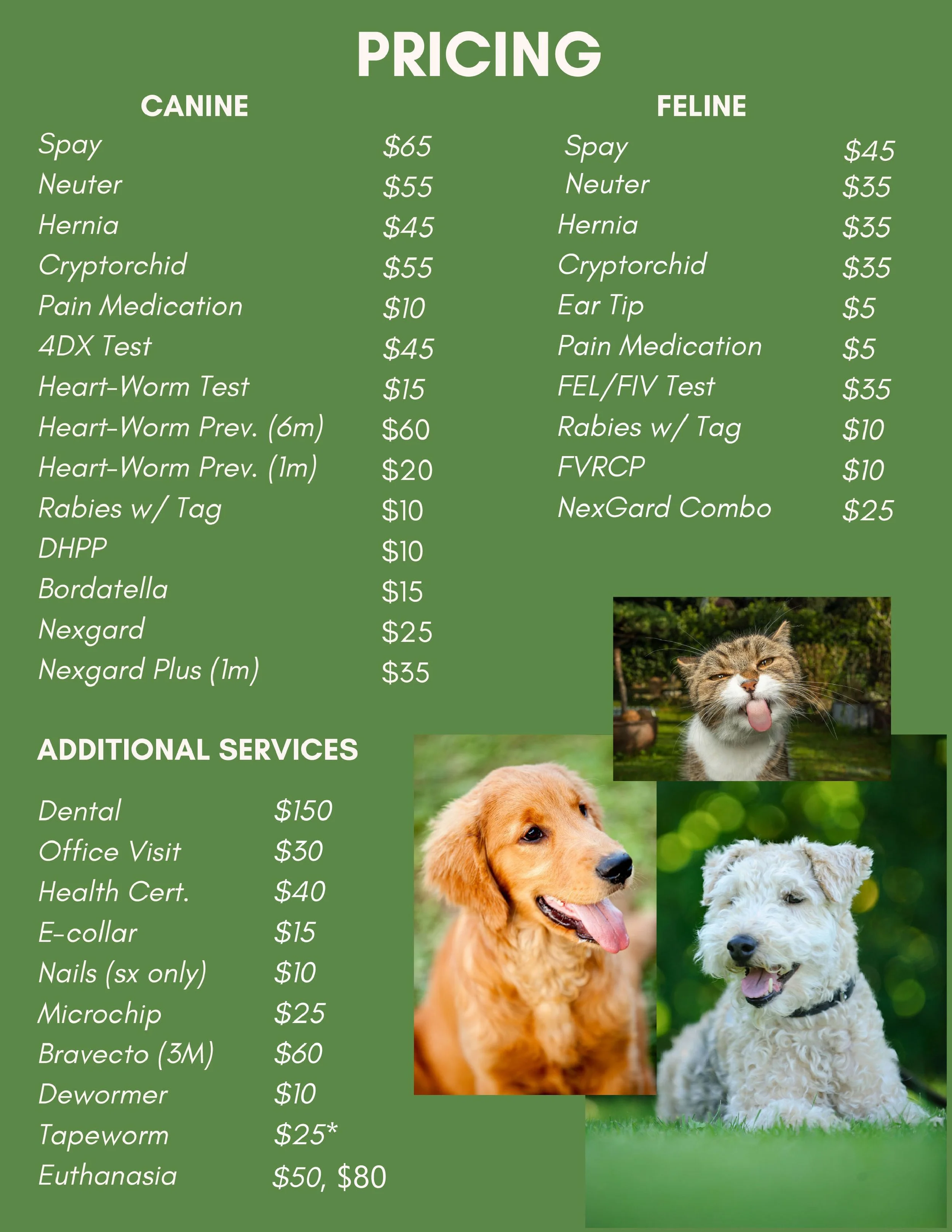 Services — Animal Birth Control Clinic
