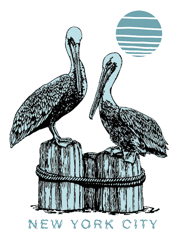 Commodore II — The Commodore Bars