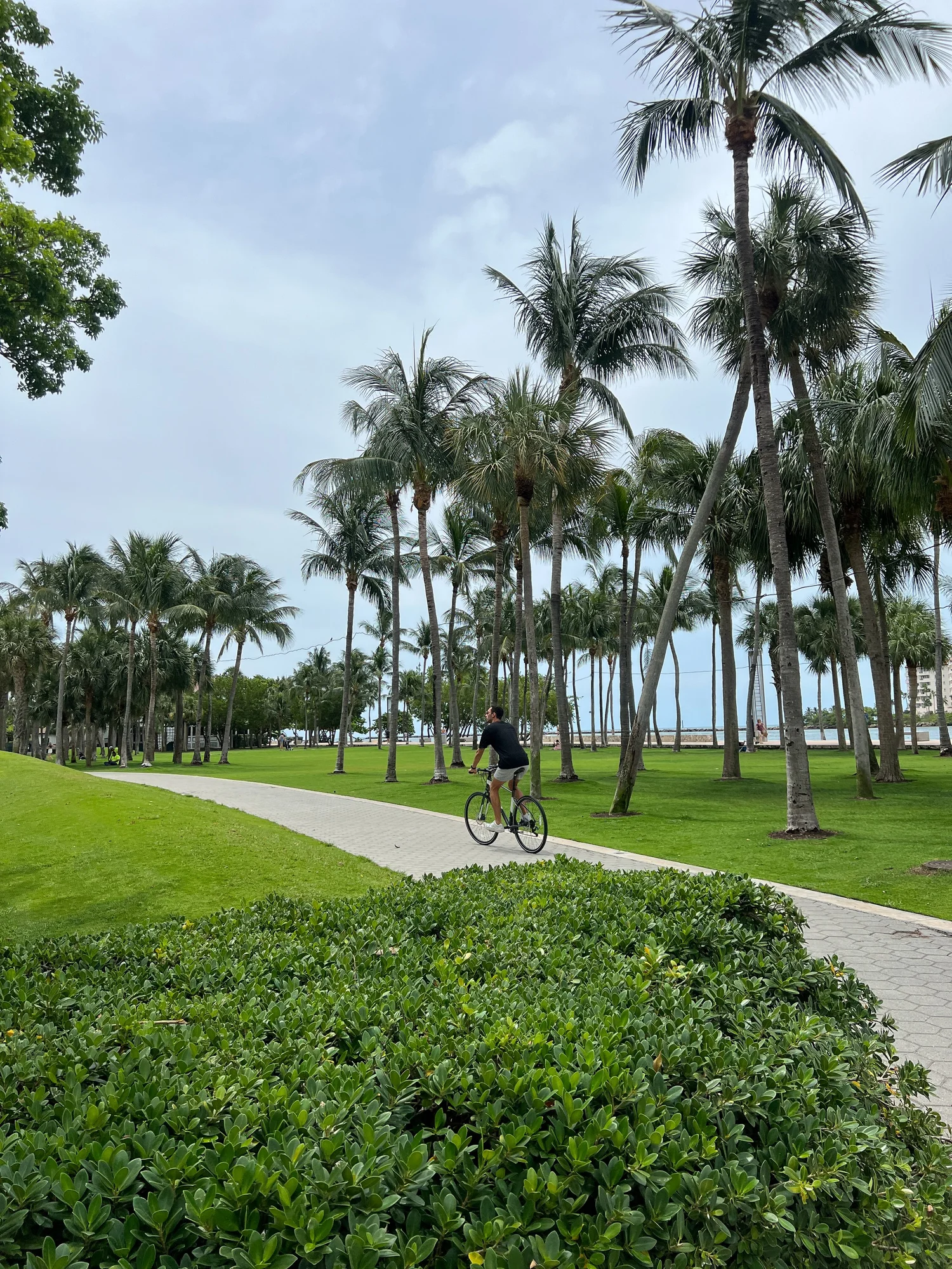 BIKE — MOMO Design Bike