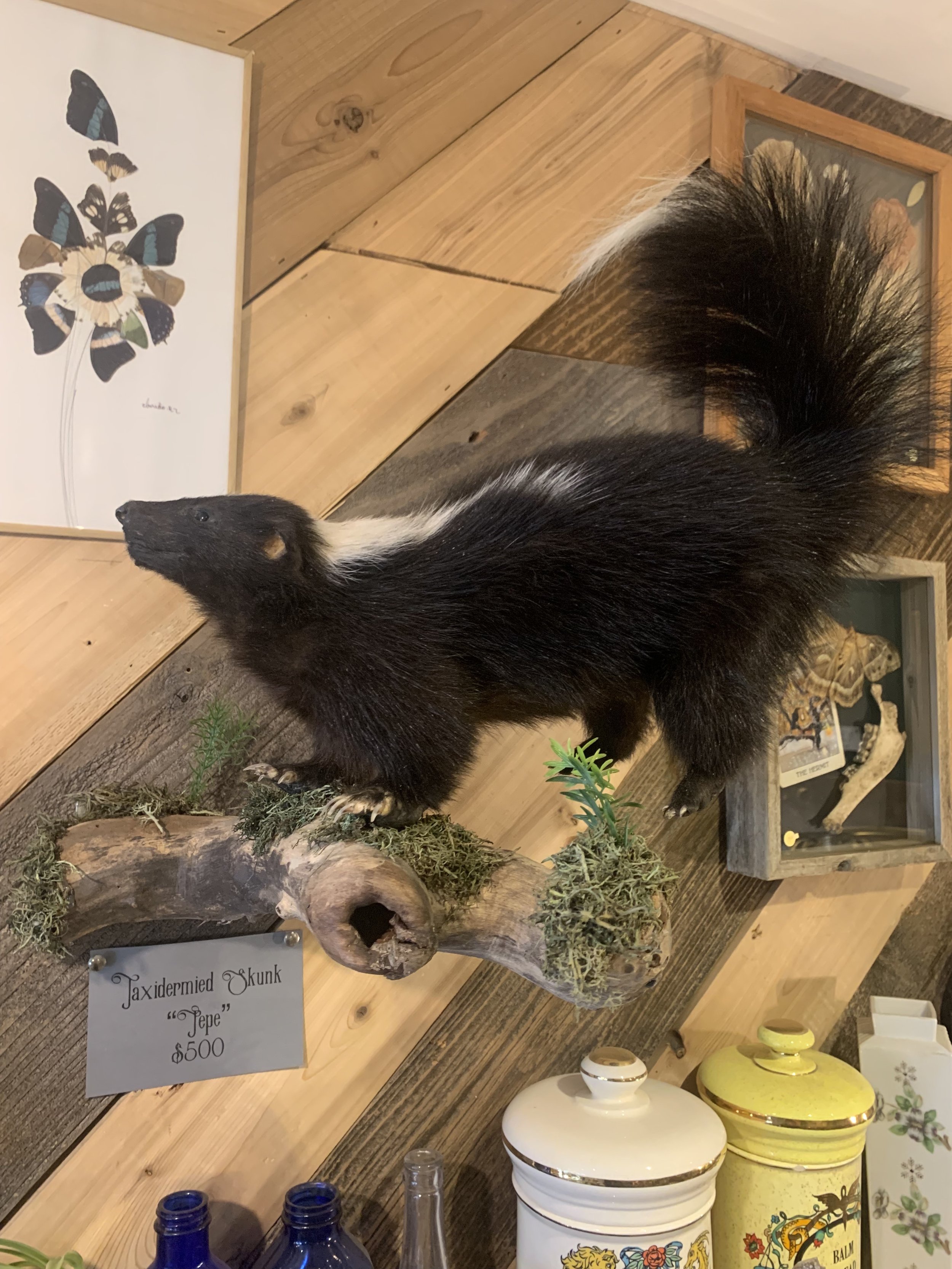 Shop — The Gold Dust Collective
