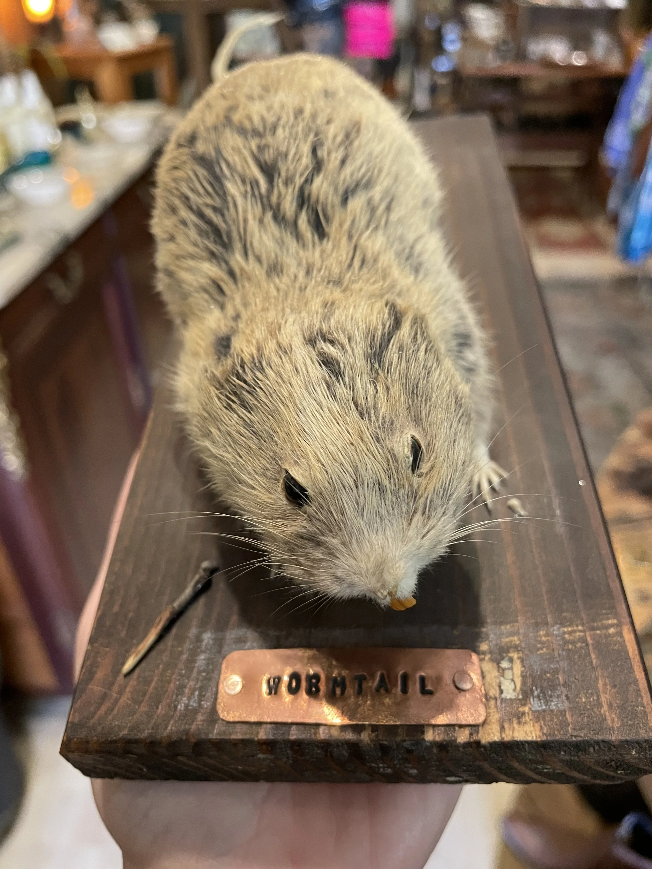 Shop — The Gold Dust Collective