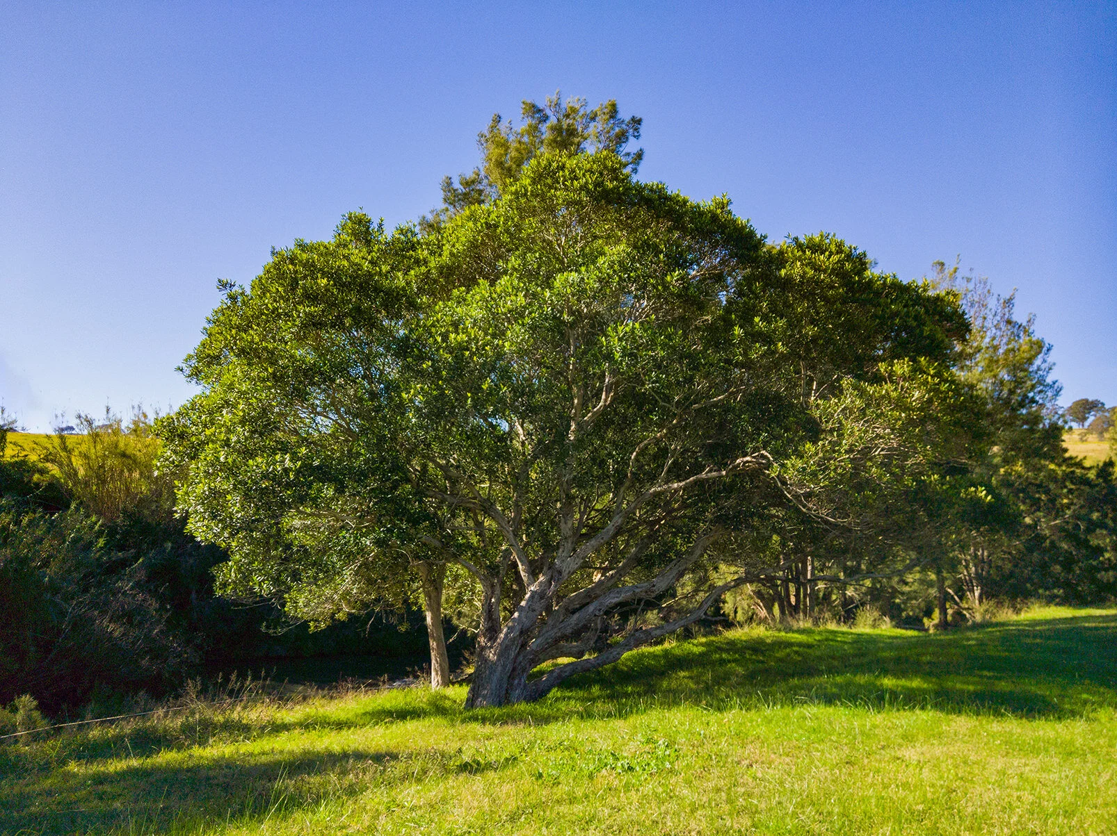 Back camping on the Allyn River for a quick weekend getaway. — Seeking ...