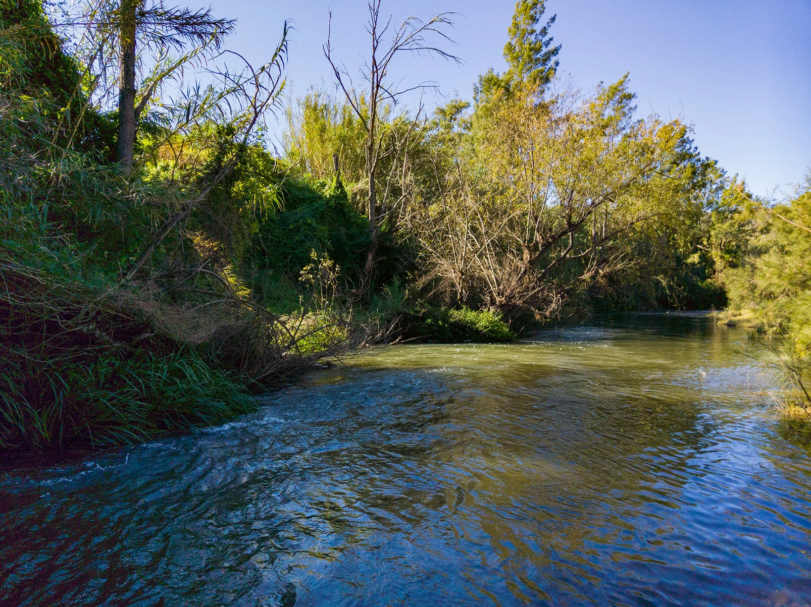 Back camping on the Allyn River for a quick weekend getaway. — Seeking ...