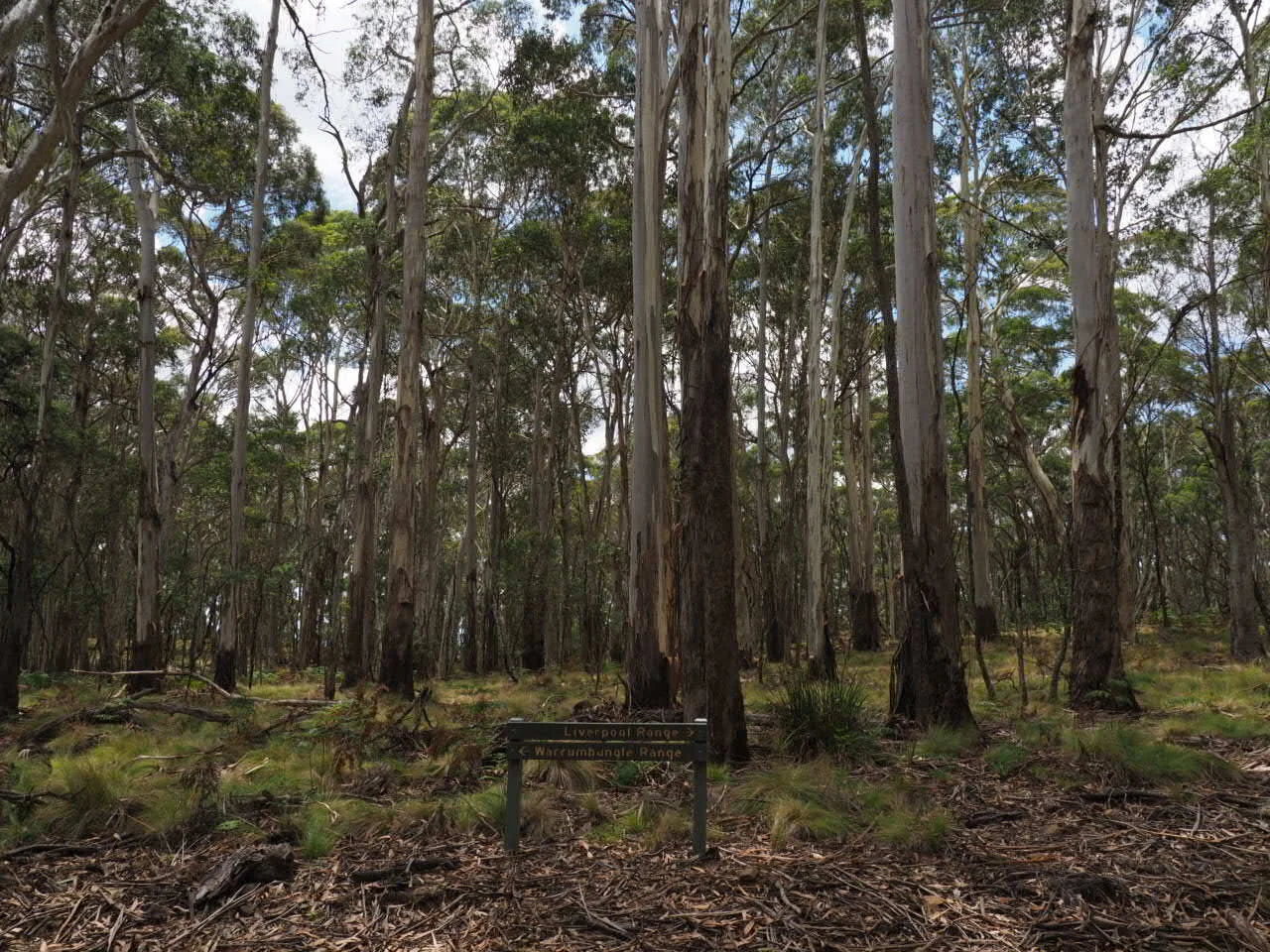 The Tops - Day 2 — Seeking Nature | AUS