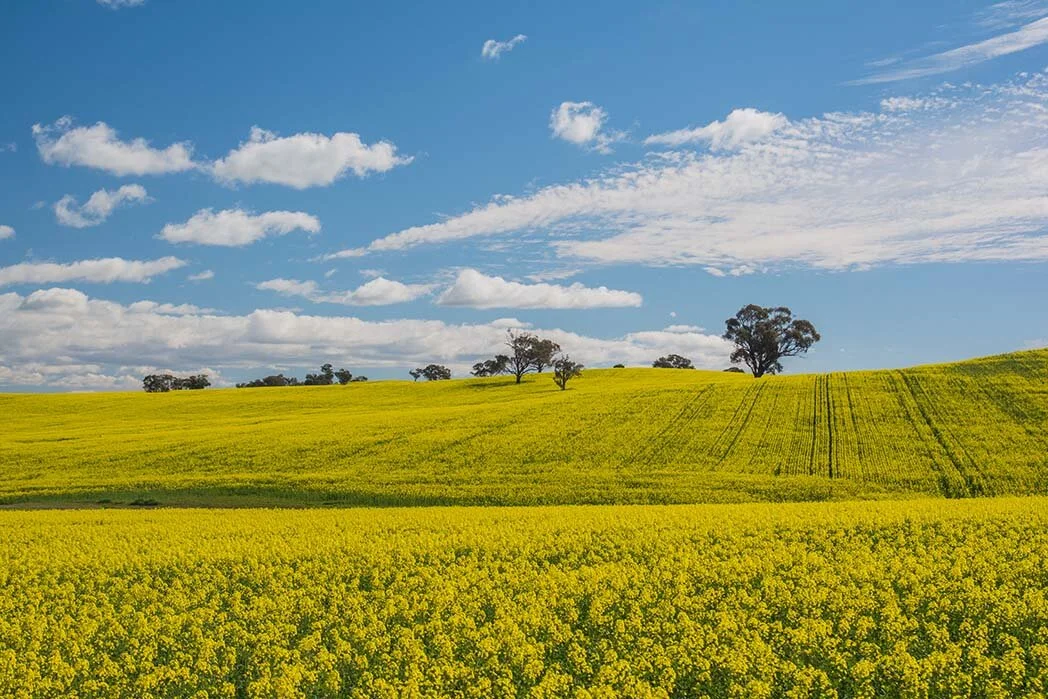 Seeking Nature | AUS