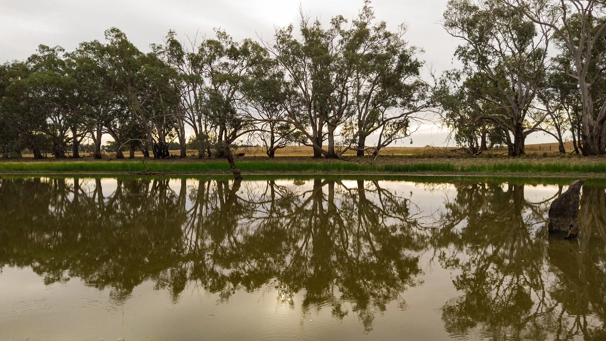 Central West wandering - Part 1 - Bogan Weir, Peak Hill and Parkes ...