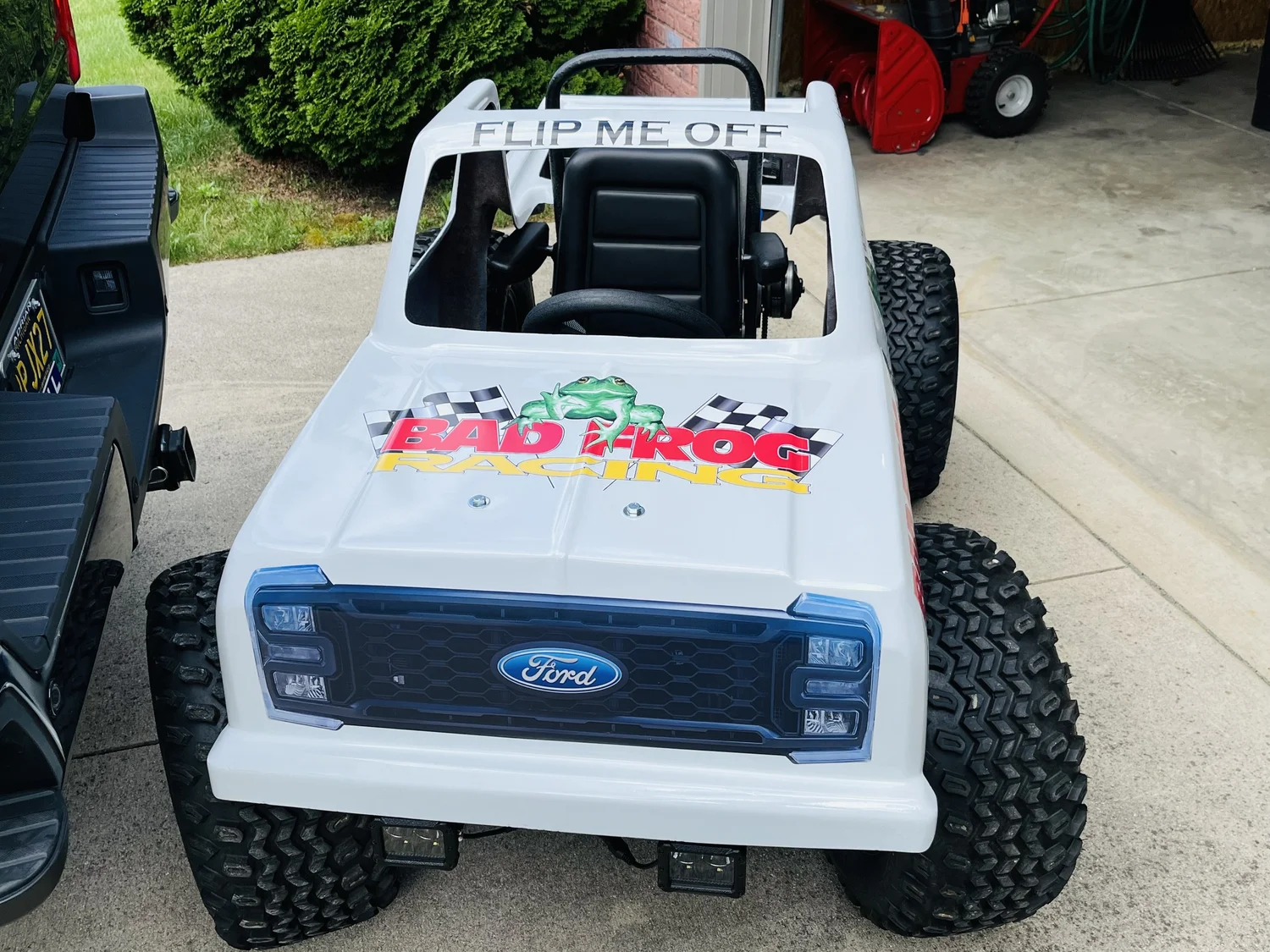 Gallery — BAD FROG