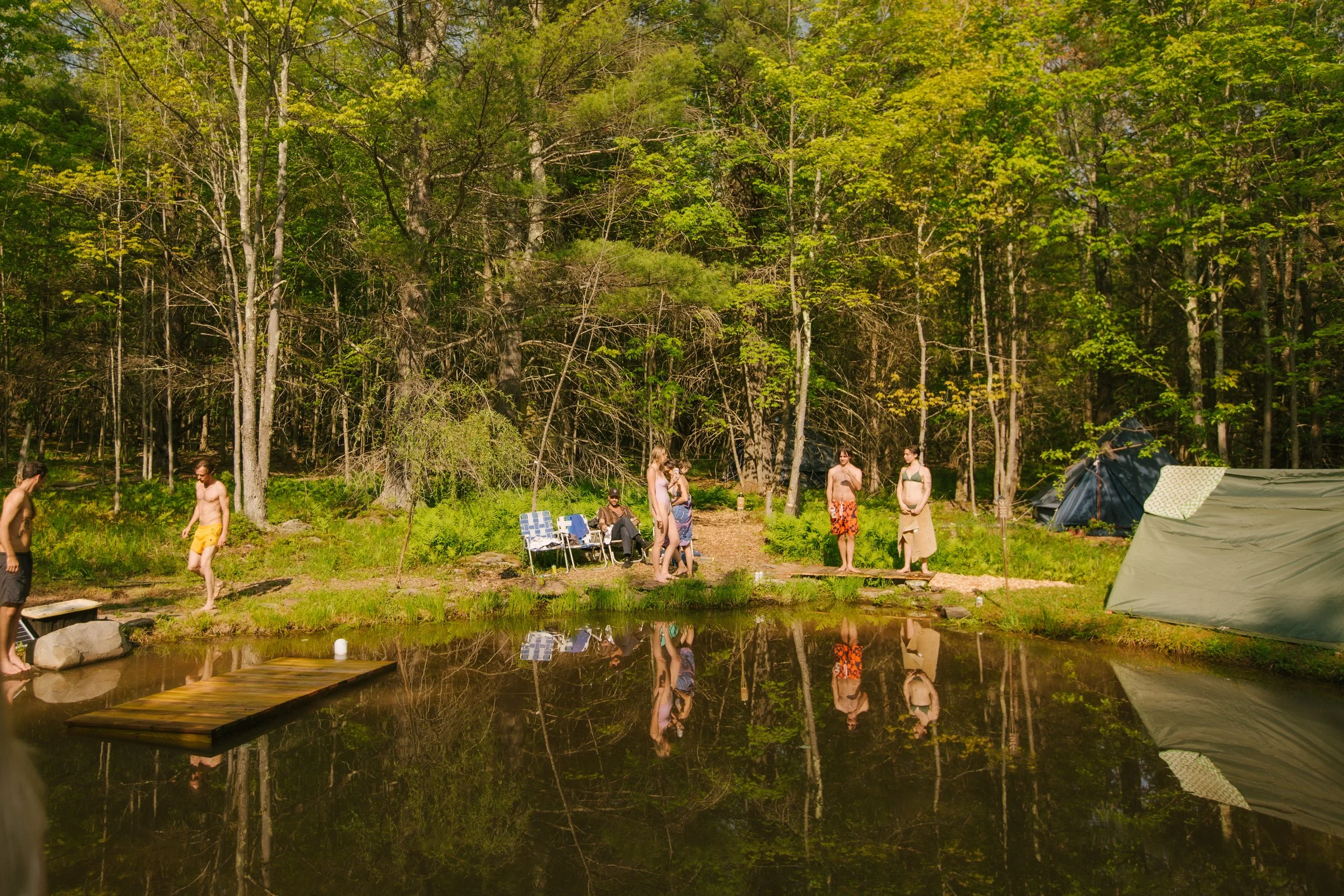 Farm to table Journeys— TreeTop Journeys