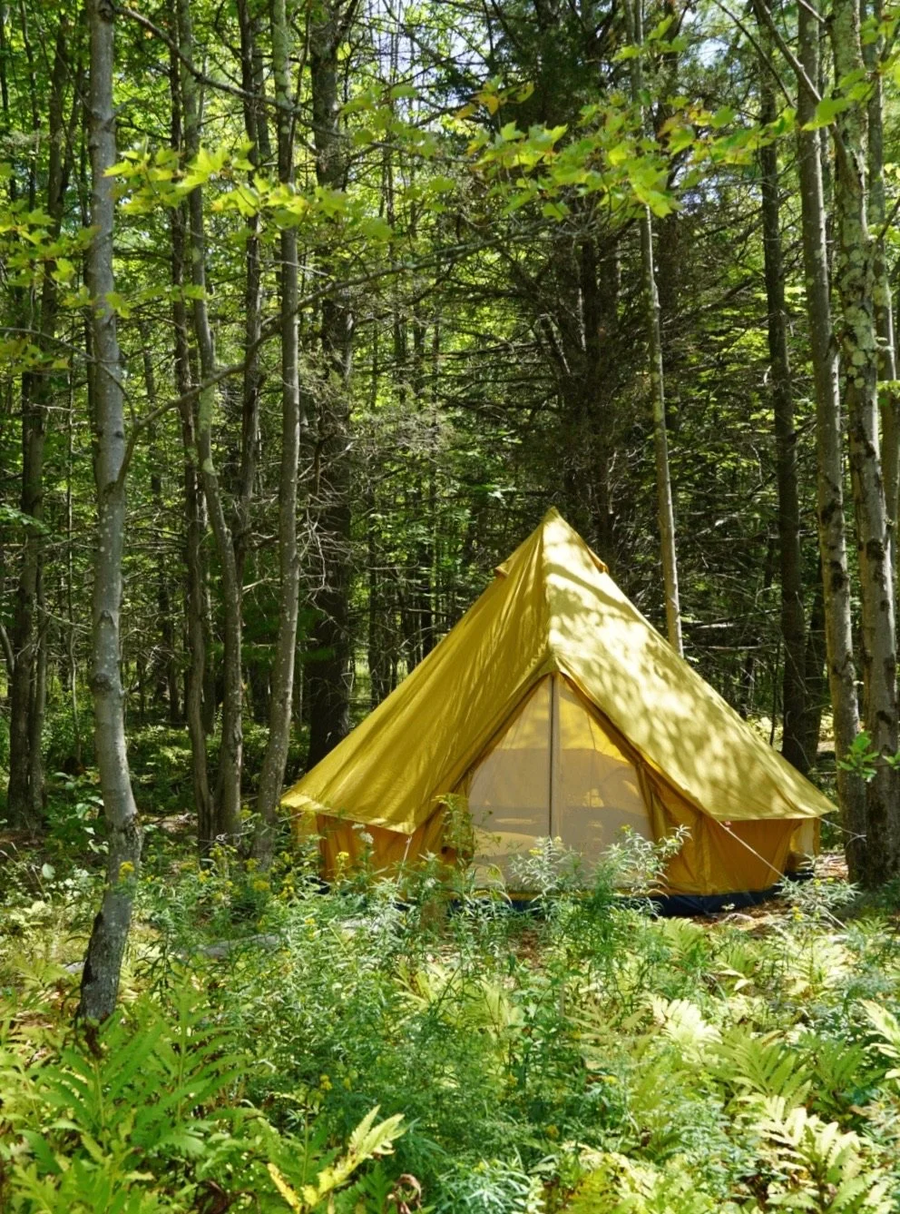 TreeTop Journeys: Farm to table Overnight Glamping Journeys