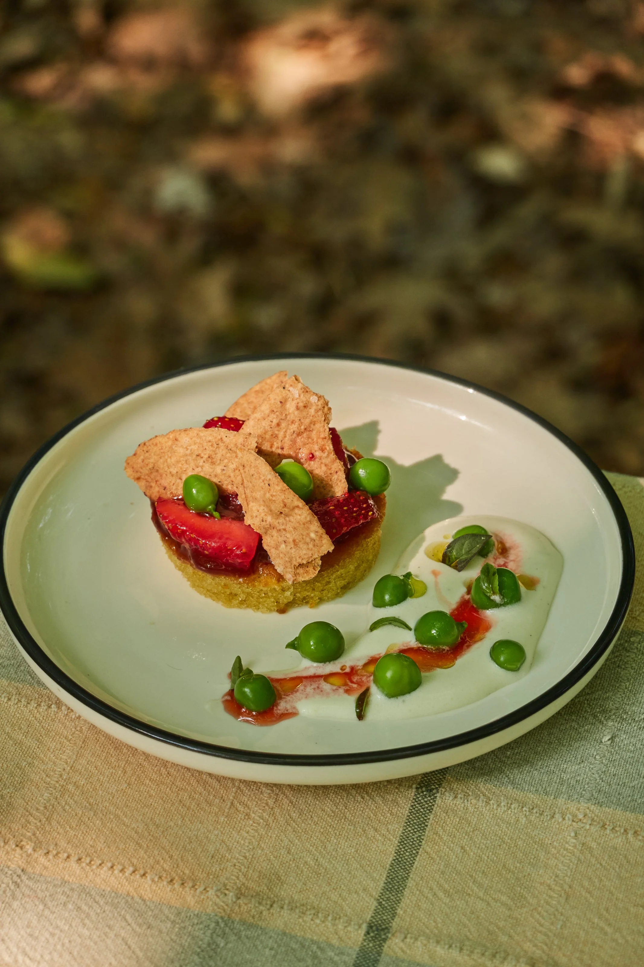 TreeTop Journeys: Farm to table Overnight Glamping Journeys