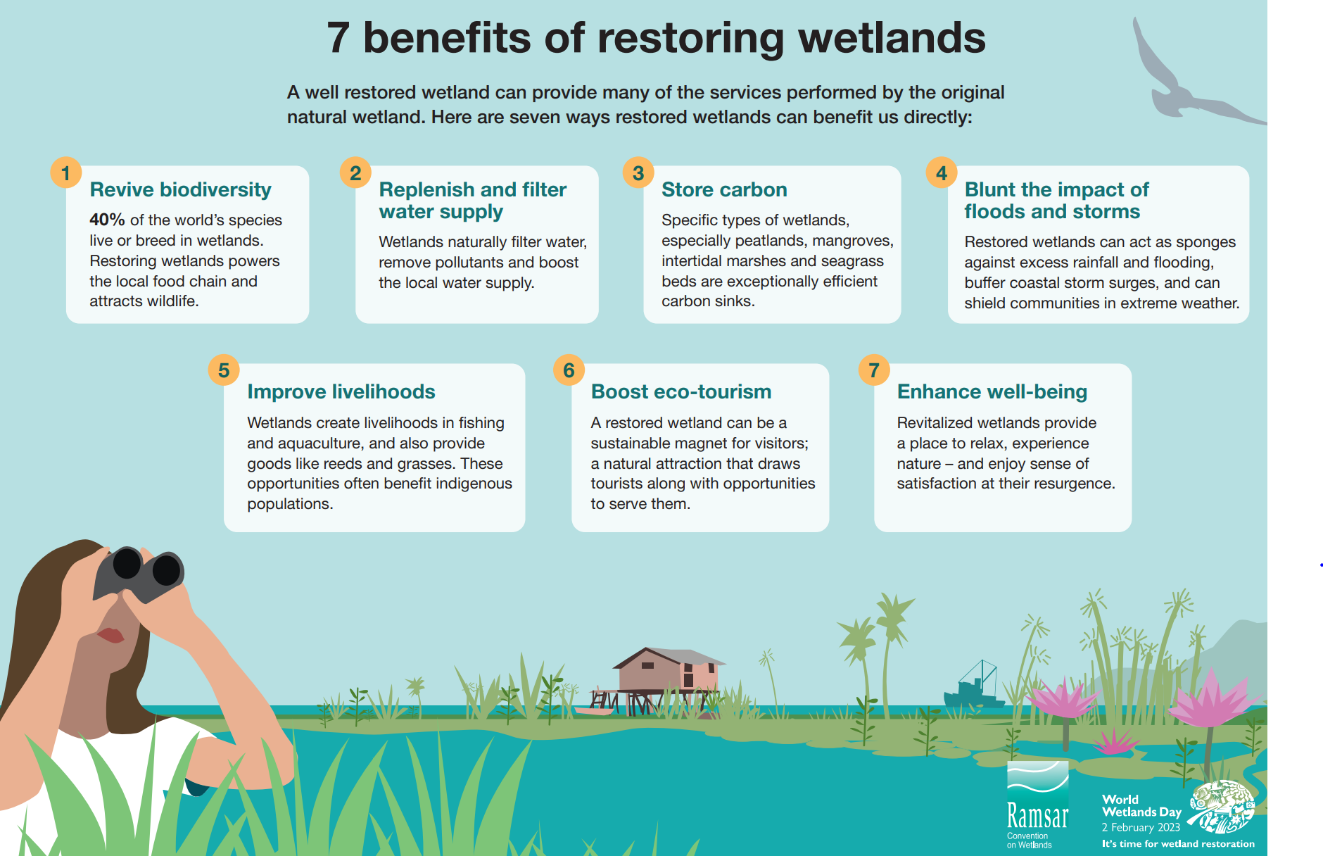 Watershed Wednesday: Wetlands — Gallatin Watershed Council